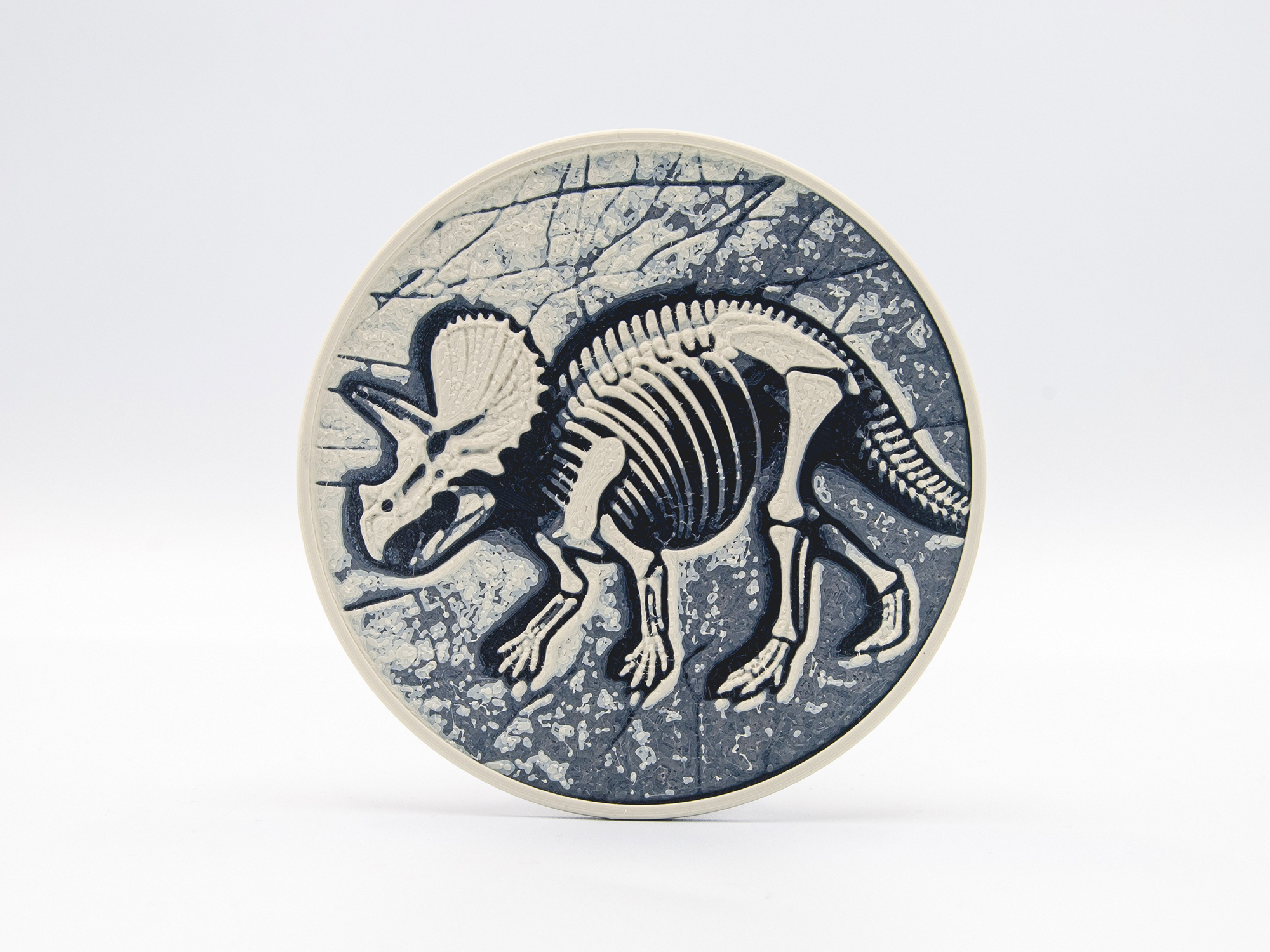 Dinosaur Fossil Coasters by Bamingo Design | Printables Store