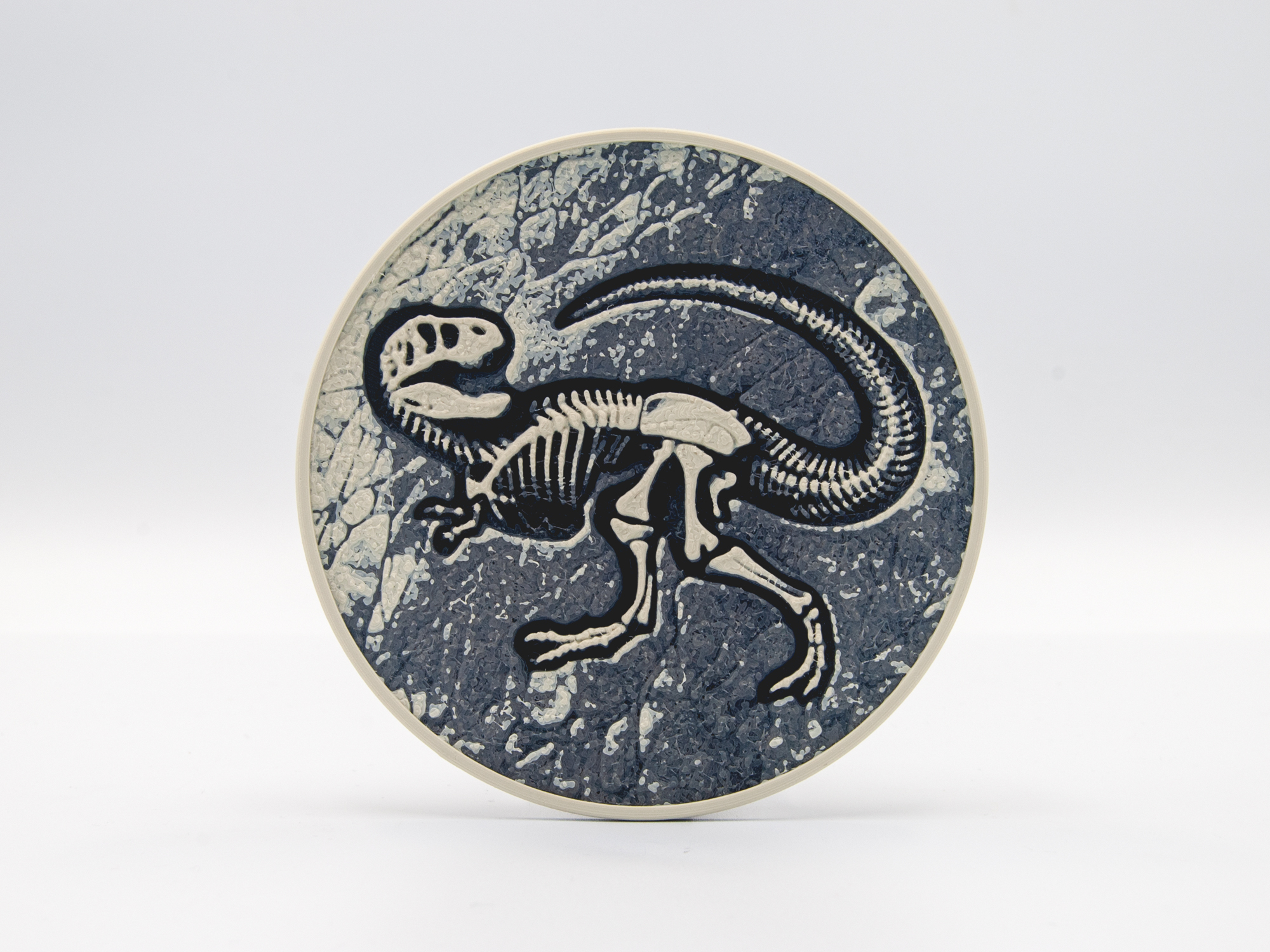 Dinosaur Fossil Coasters by Bamingo Design | Printables Store