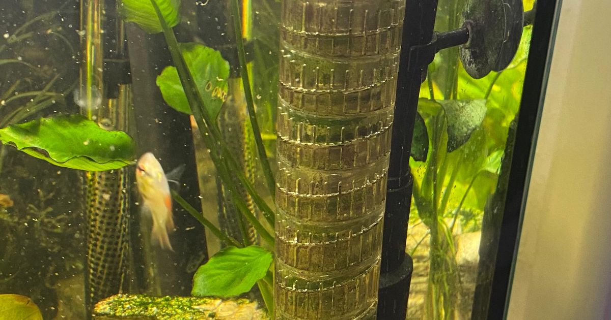 JBL CO2 Defuser Support replacment by xXSMOGXx | Download free STL ...