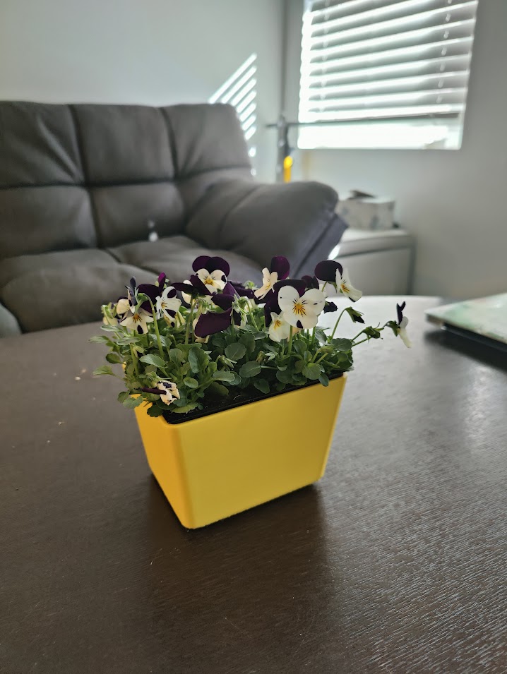 Simple Flower Pot by Jack Whelan | Download free STL model | Printables.com