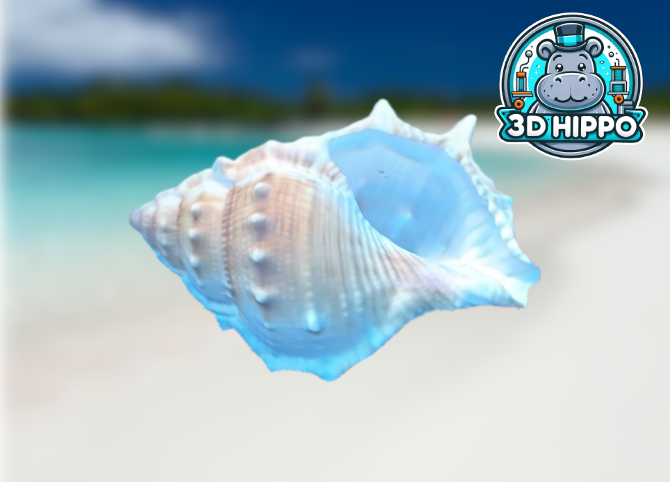 Shell Model by 3DHippo | Download free STL model | Printables.com