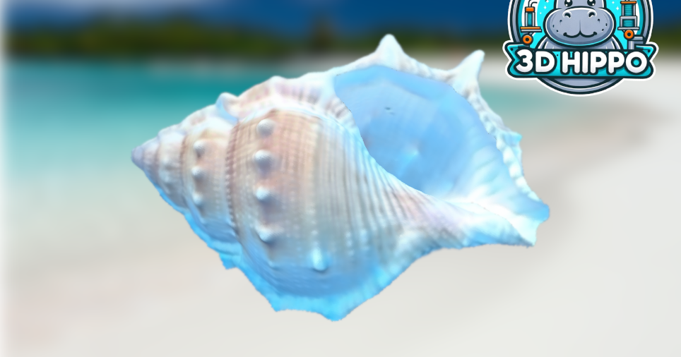 Shell Model by 3DHippo | Download free STL model | Printables.com