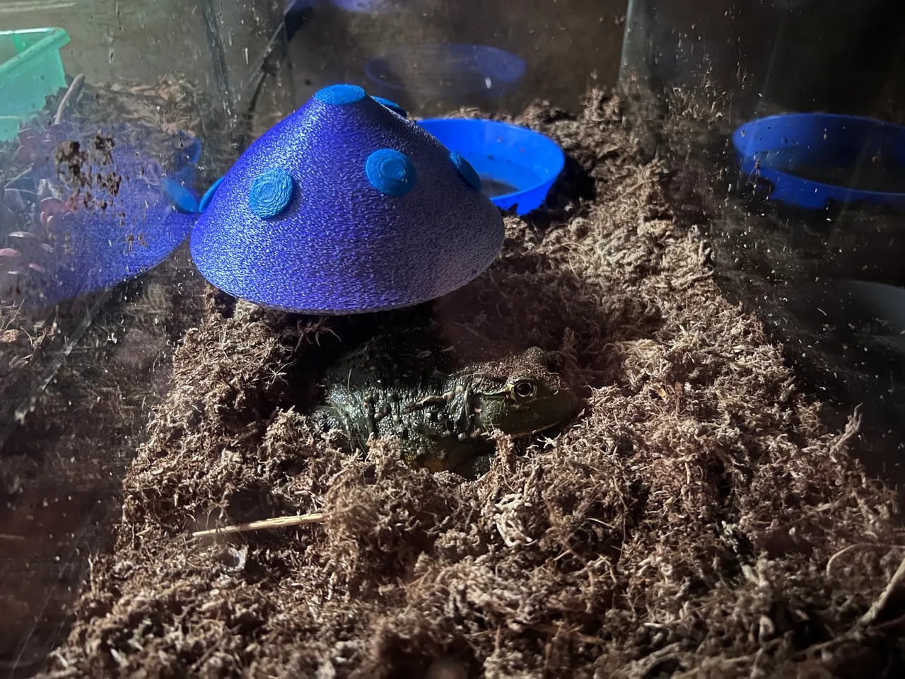 Mega Mushroom Terrarium Decoration by cybernomad | Download free STL ...