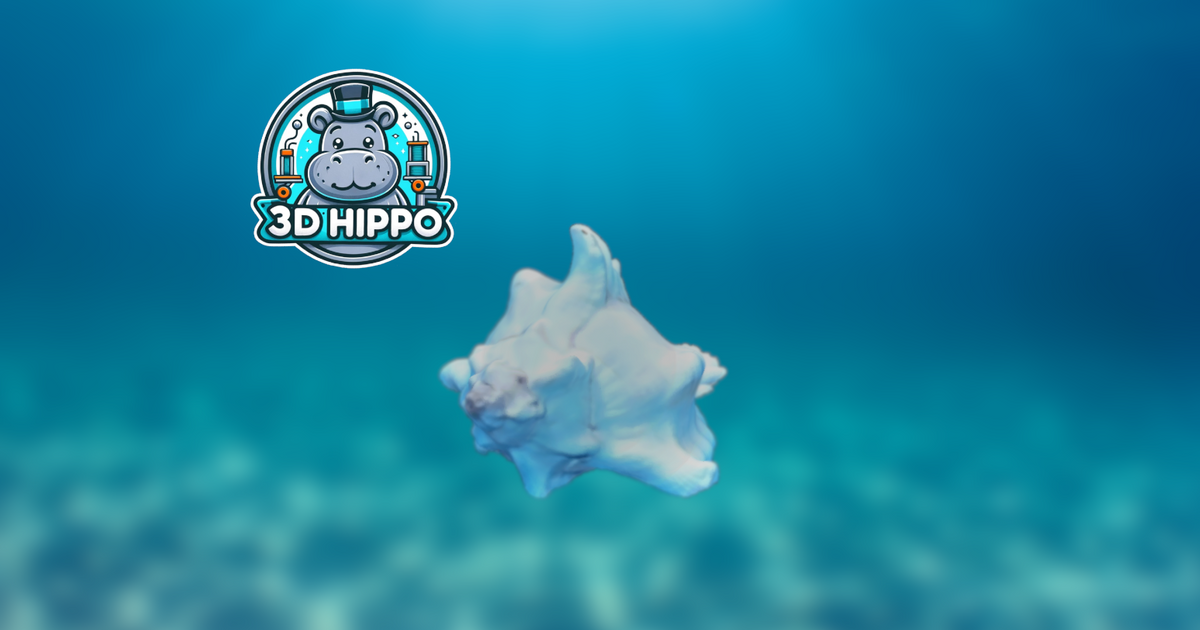 Shell Model by 3DHippo | Download free STL model | Printables.com