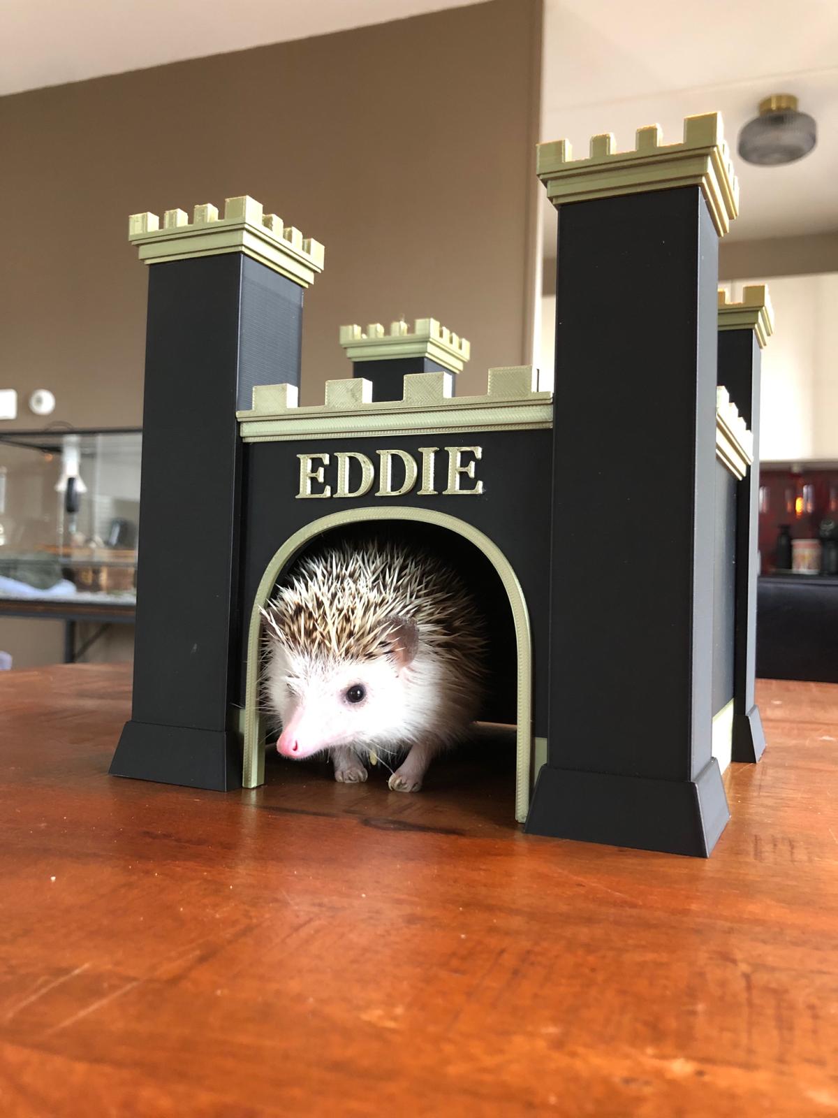 Animal Castle (Guinea Pig, Hamster, Hedgehog) by FreekBielevelt ...