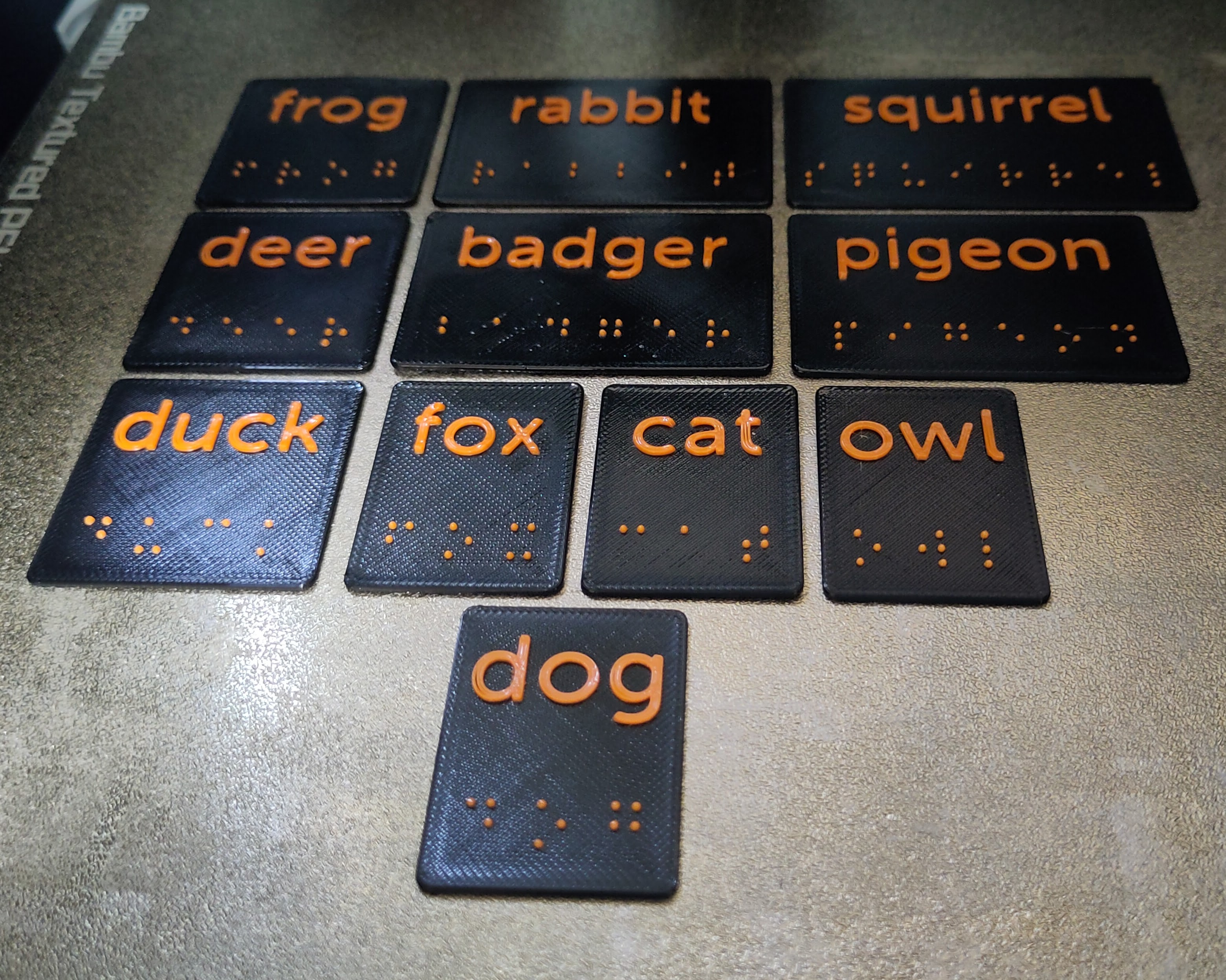 Woodland animals names with Braille by Isioviel | Download free STL ...