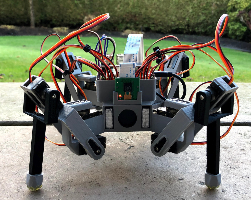 3D Printed Raspberry Pi Spider Robot Platform par MoreMorris ...