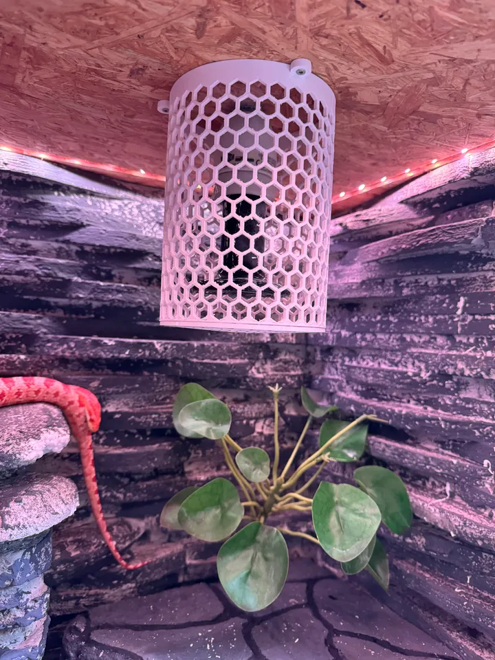 Heater Cage for Terrarium by mrath1201 | Download free STL model ...