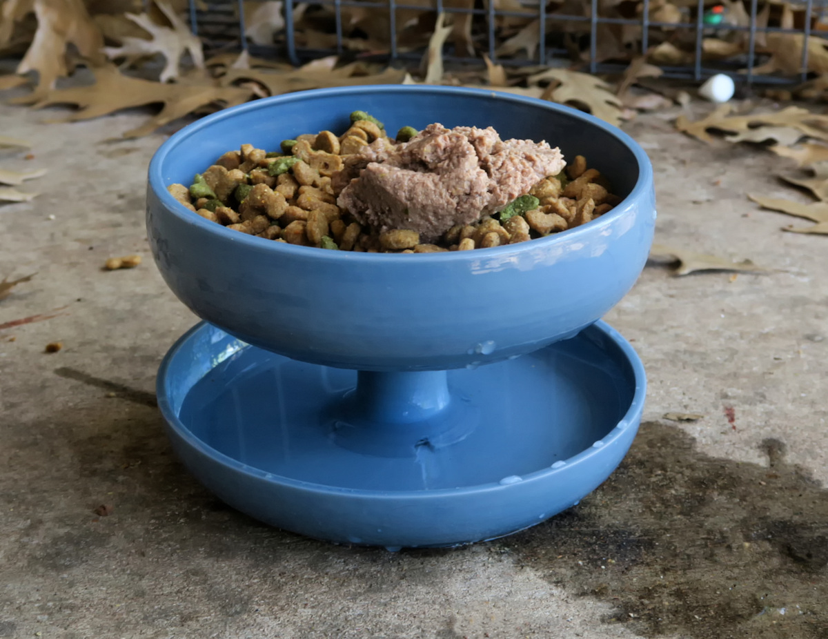 2 tier elevated cat dish by Steve Reisman | Download free STL model ...