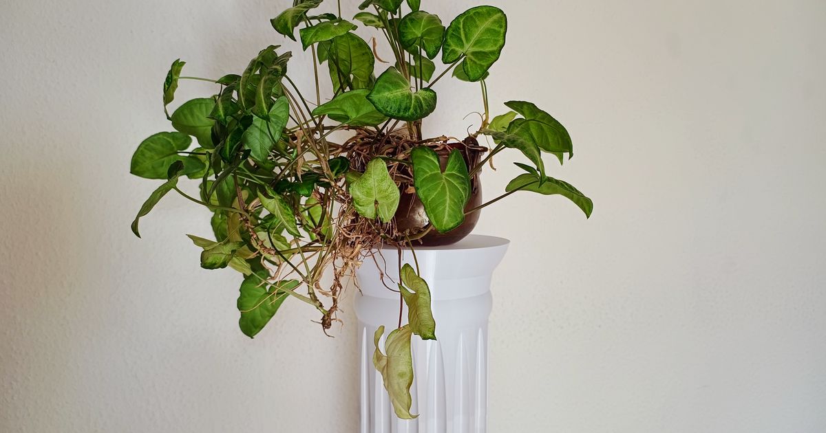 Infinite Vase Column by NagyBig | Printables Store