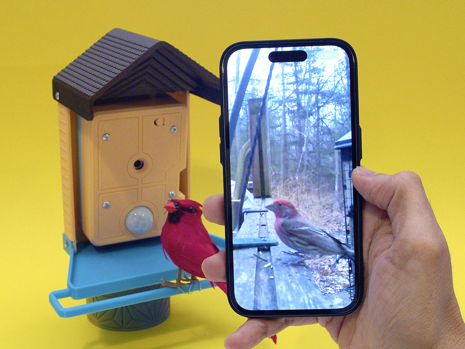 Iot Birder Feeder Camera by Adafruit | Download free STL model ... Iot Birder Feeder Camera by Adafruit | Download free STL model ...