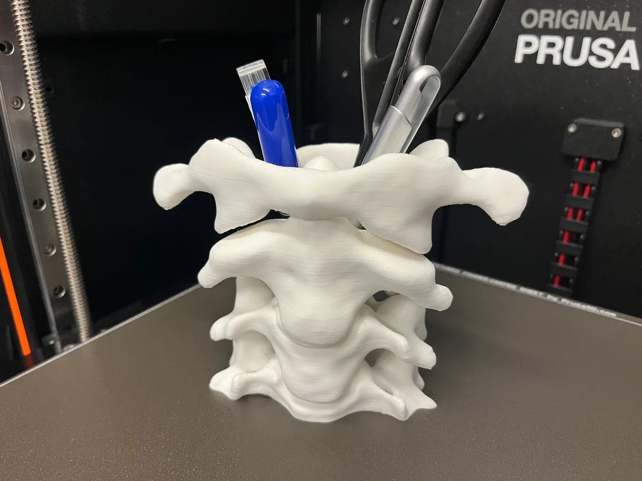 Spine Pen Holder by Pirate_The_Captain | Download free STL model ...