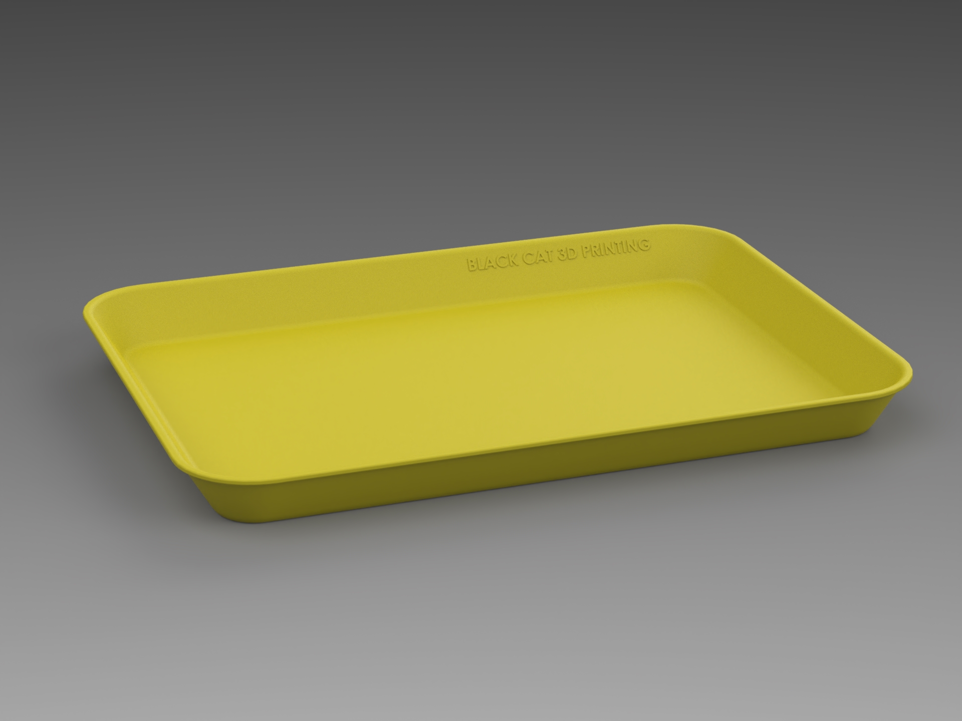 Simple Tray by slavik kopanov | Download free STL model | Printables.com