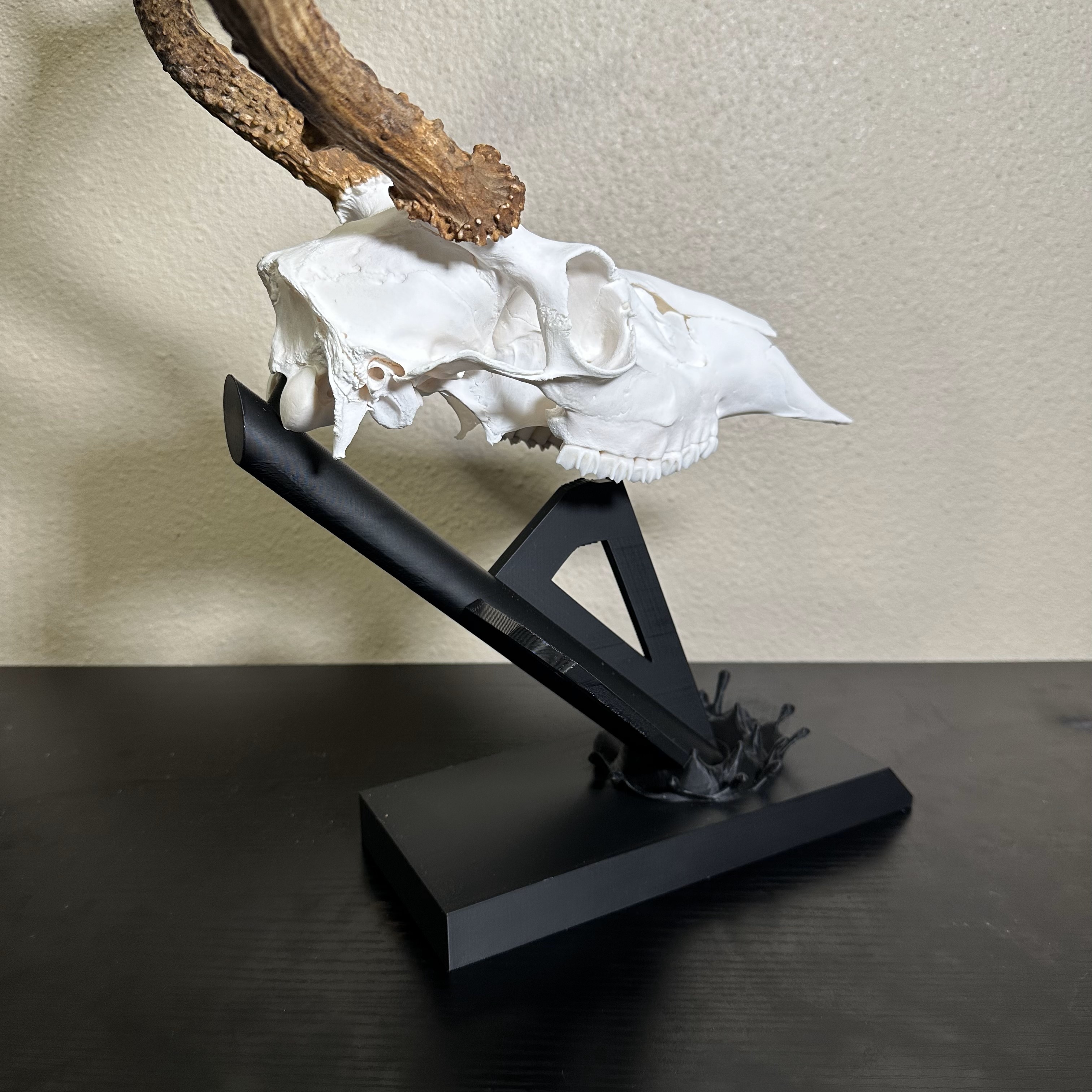 Broadhead Desktop Skull Display by Deltree3D | Printables Store