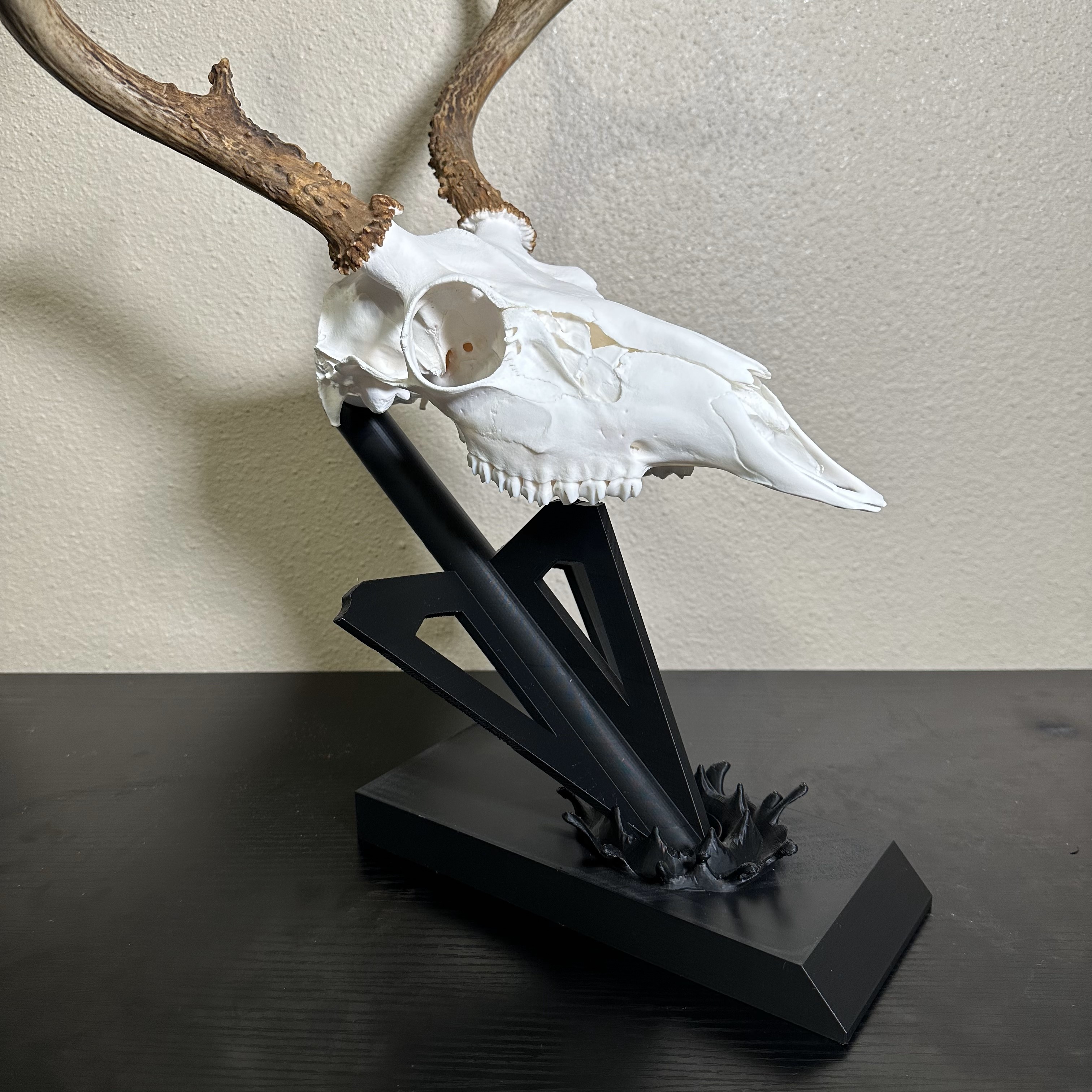 Broadhead Desktop Skull Display by Deltree3D | Printables Store