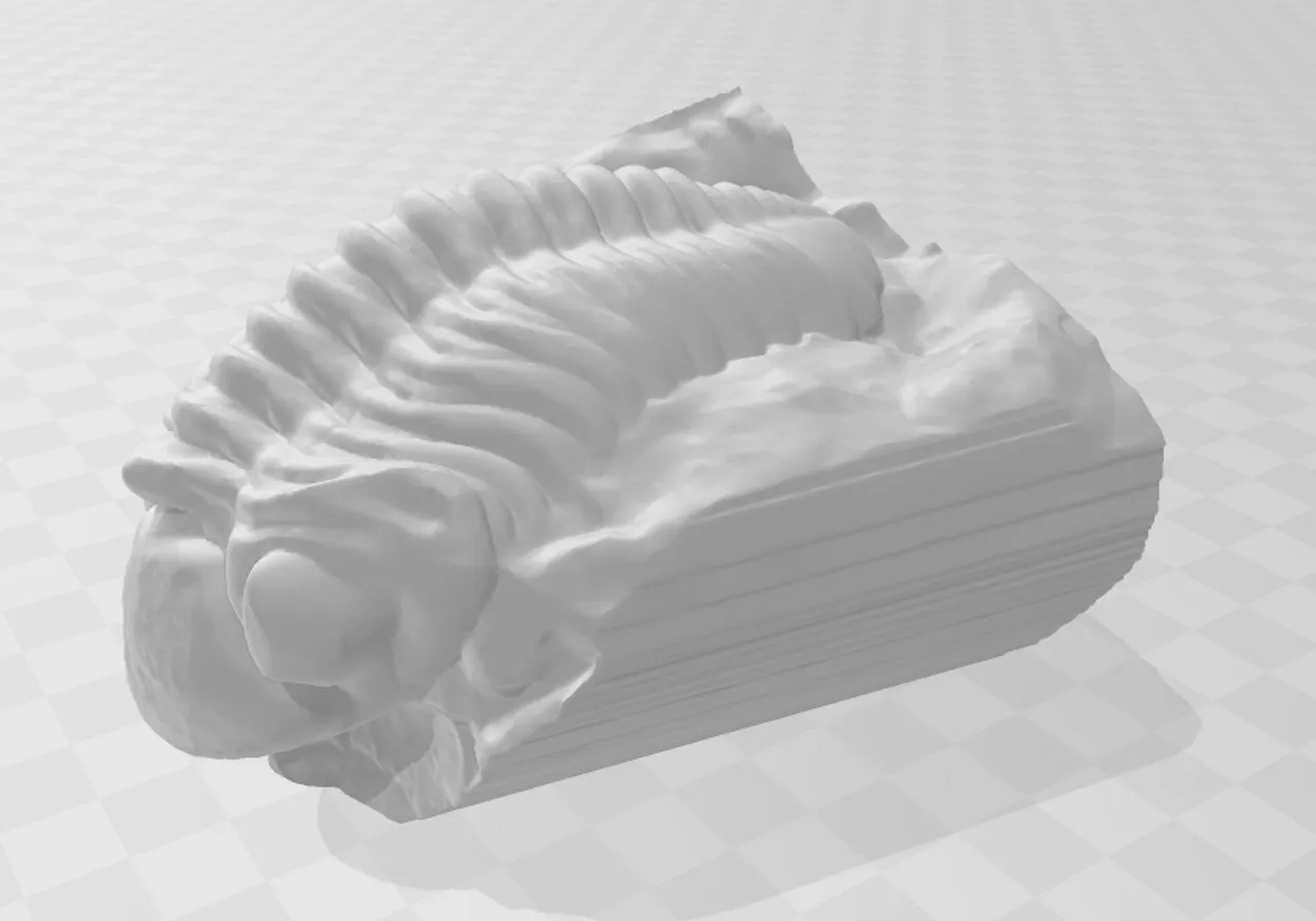 Trilobite Fossil by Austin Quinn | Download free STL model | Printables.com