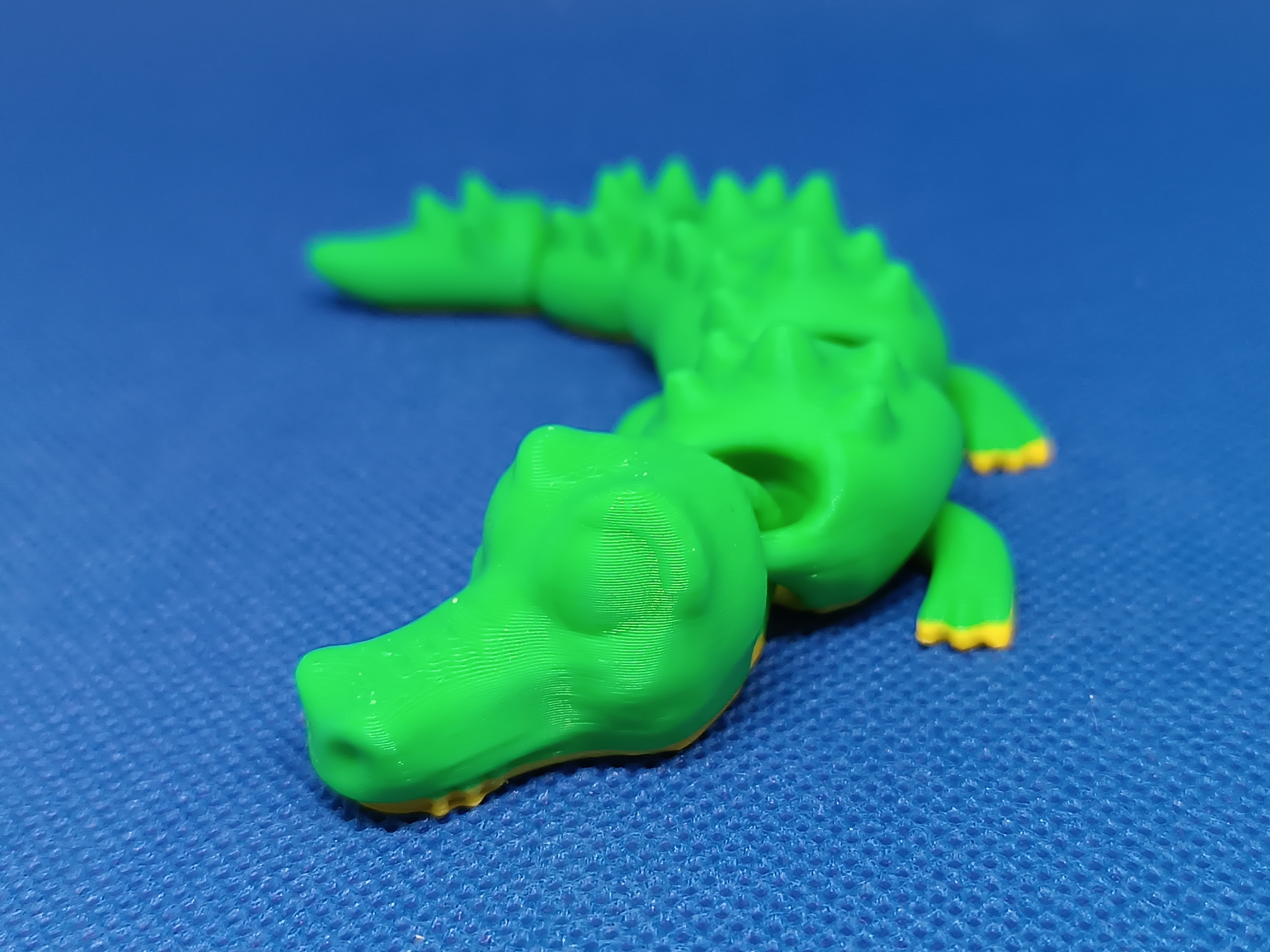 Coco, The Articulated Crocodile by Valeria Momo & Mattia | Download ...