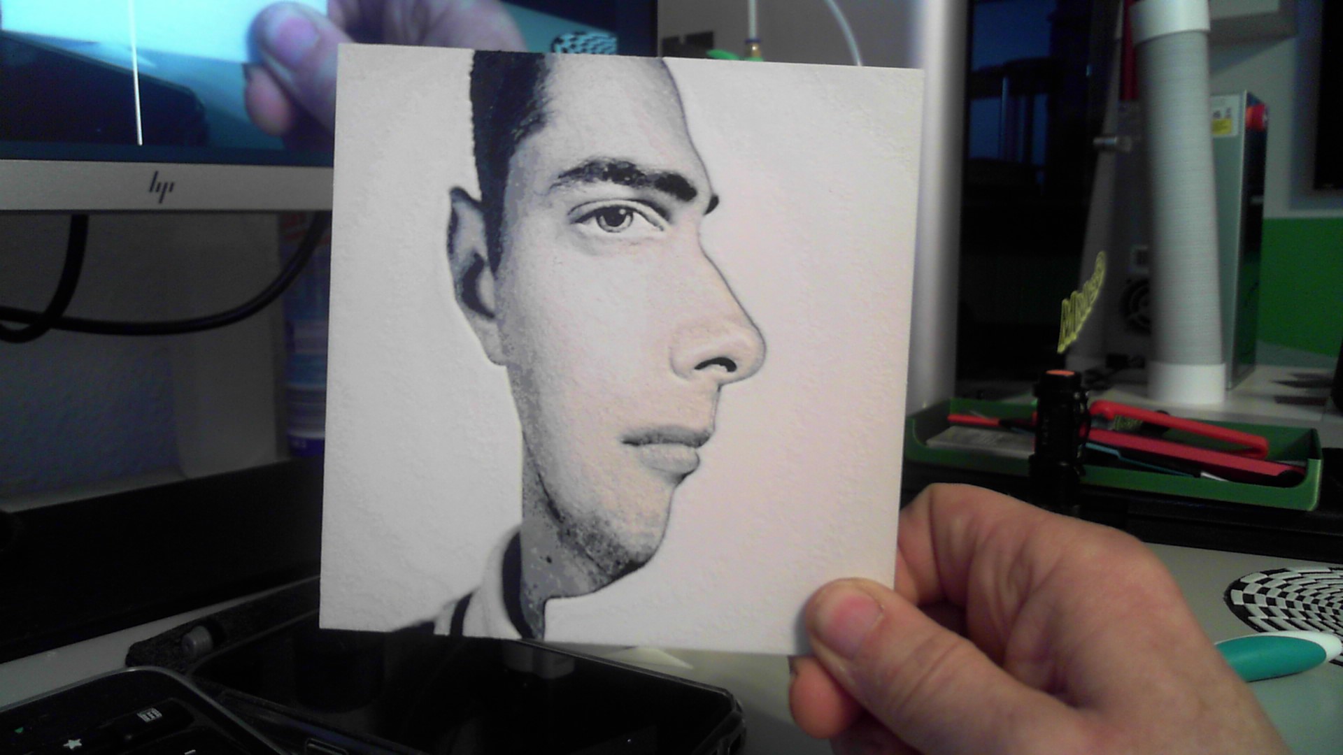 Double Face Front or Side? by michele MM3D | Download free STL model ...