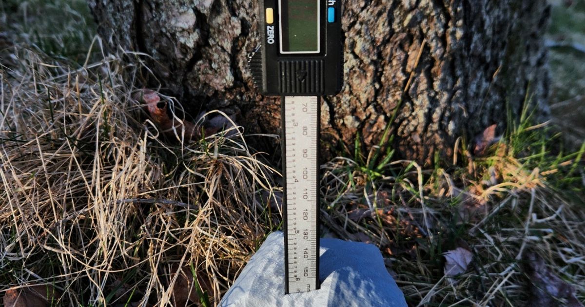 "Excalipur" - Digital Caliper Stand/Holder by Amethyst3D | Download ...