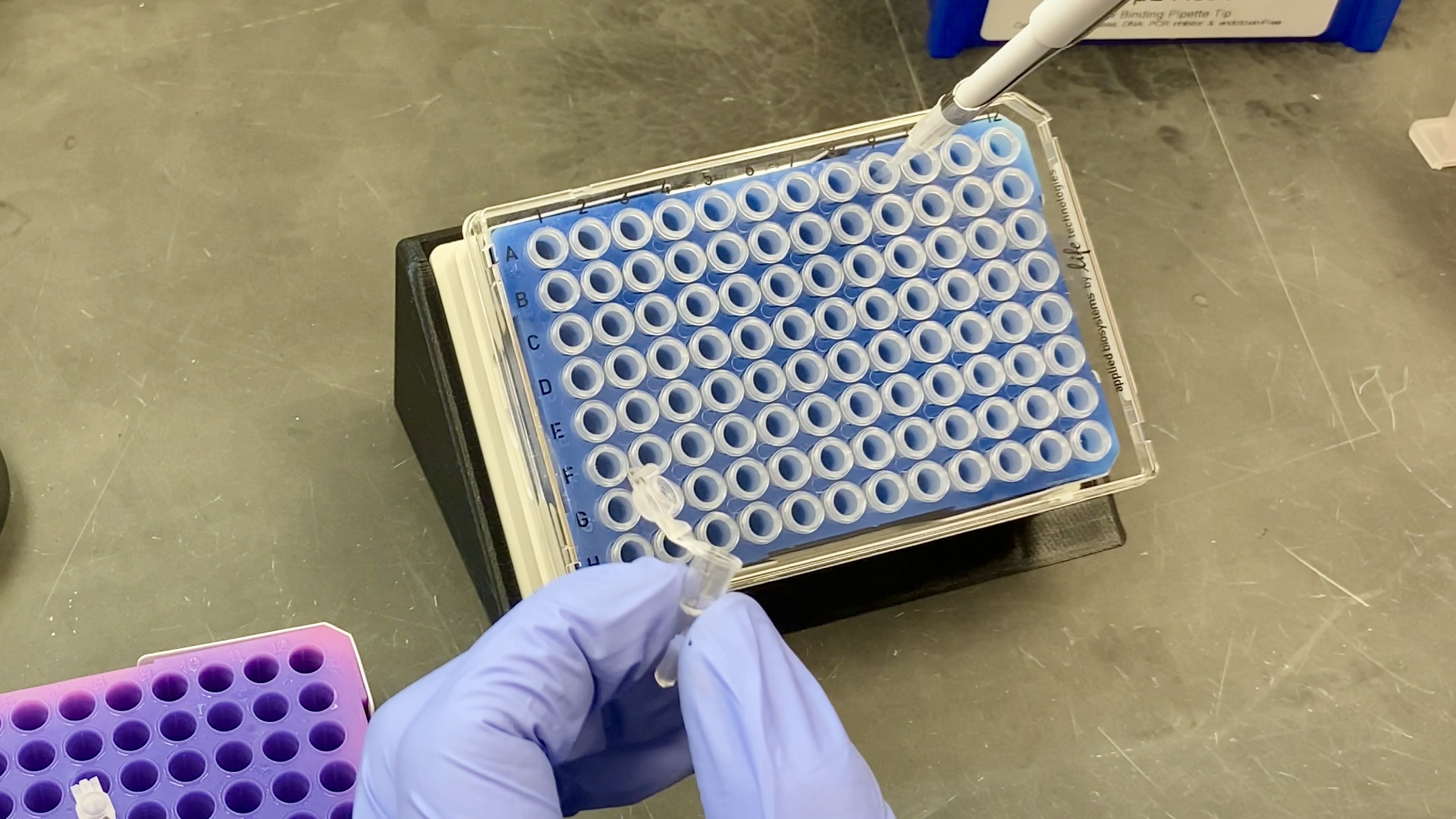 Plate Stand for PCR & Cell Culture by Matthew B | Download free STL ...