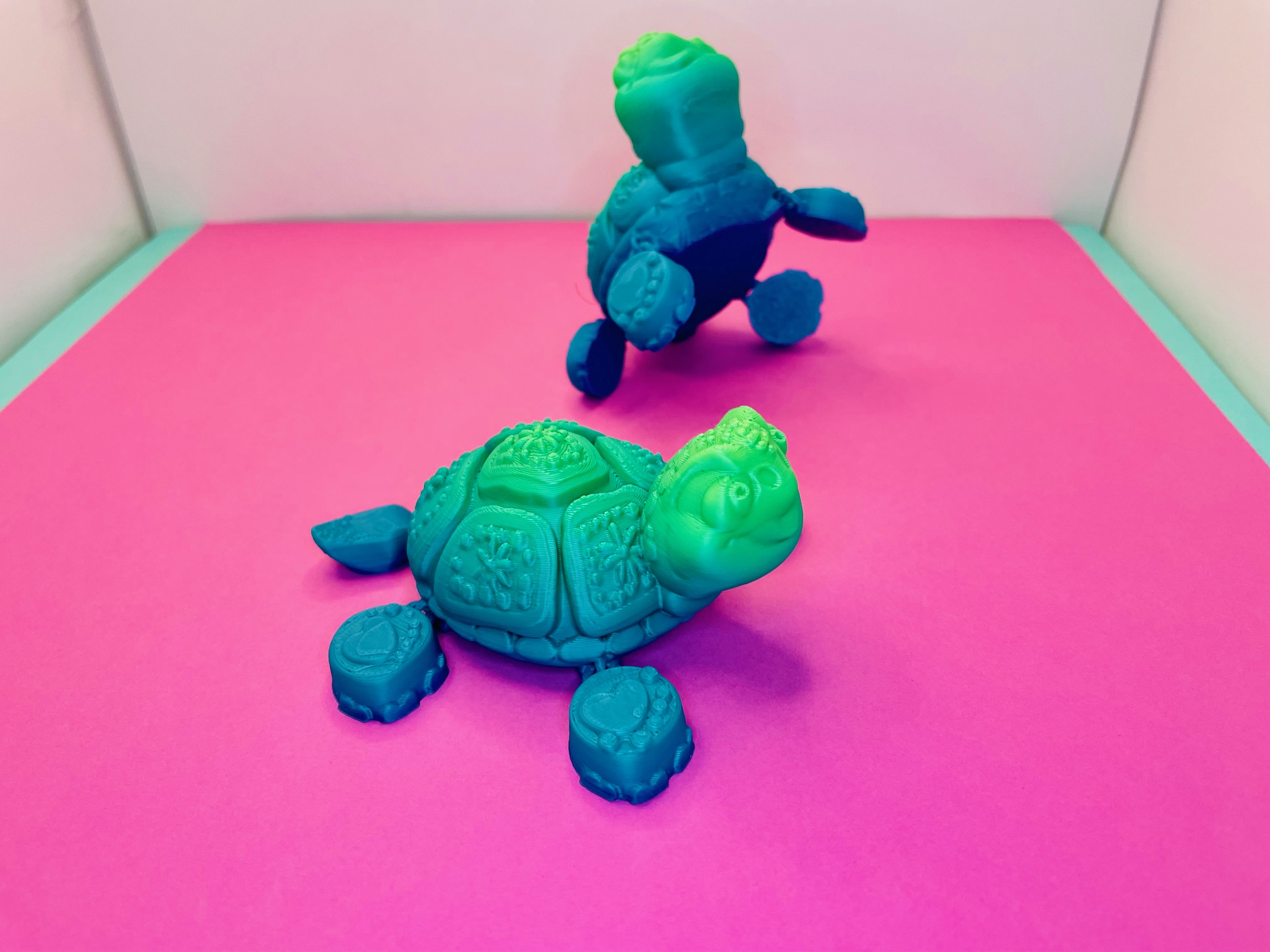 Turtle Flexi Feet by FunFam3D | Download free STL model | Printables.com