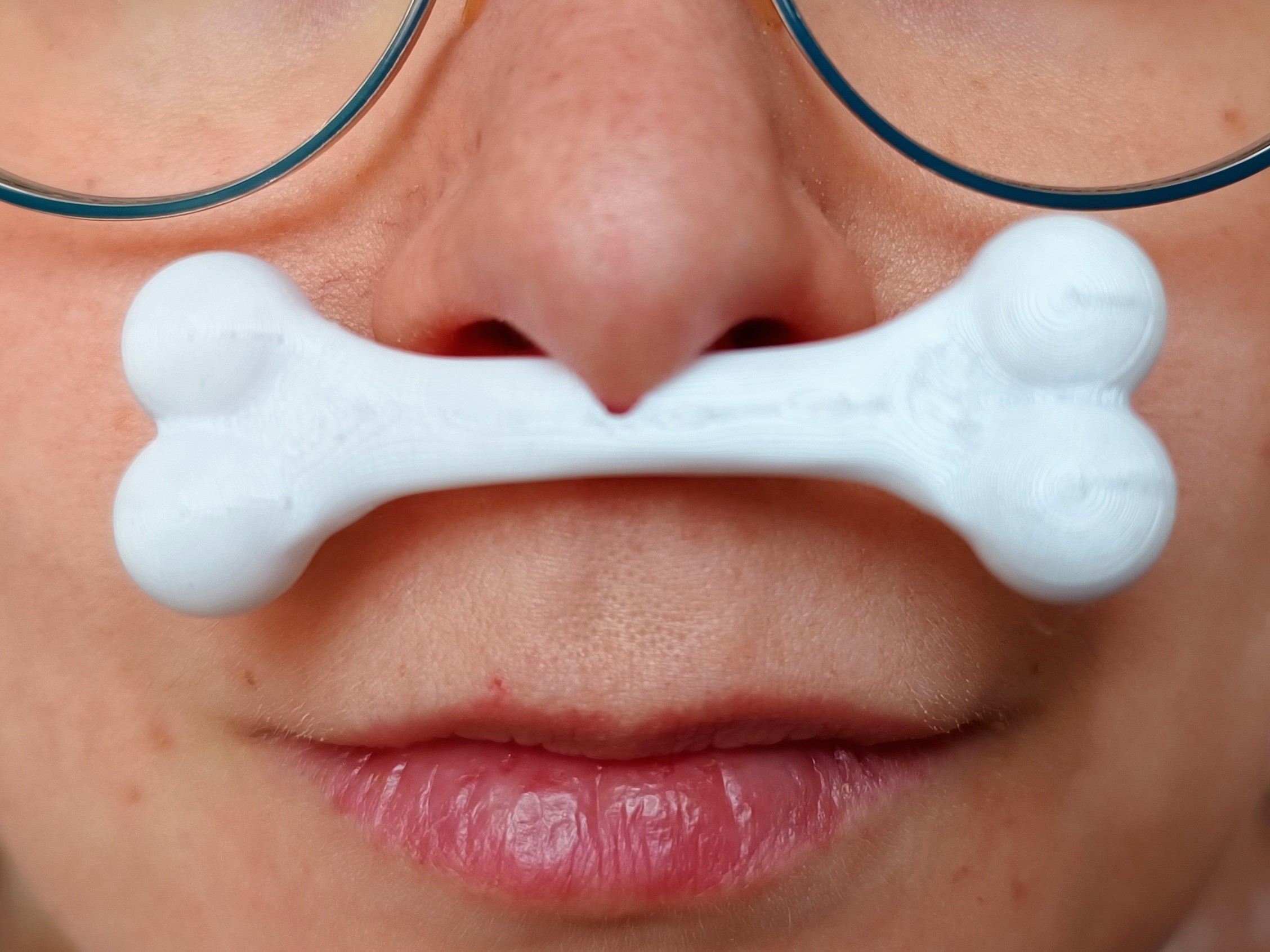 Nose Bone by NagyBig | Download free STL model | Printables.com