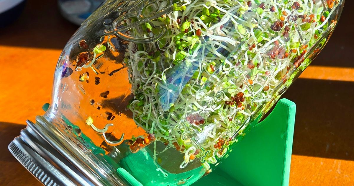Seed sprouting jar holder by Benny G | Download free STL model ...