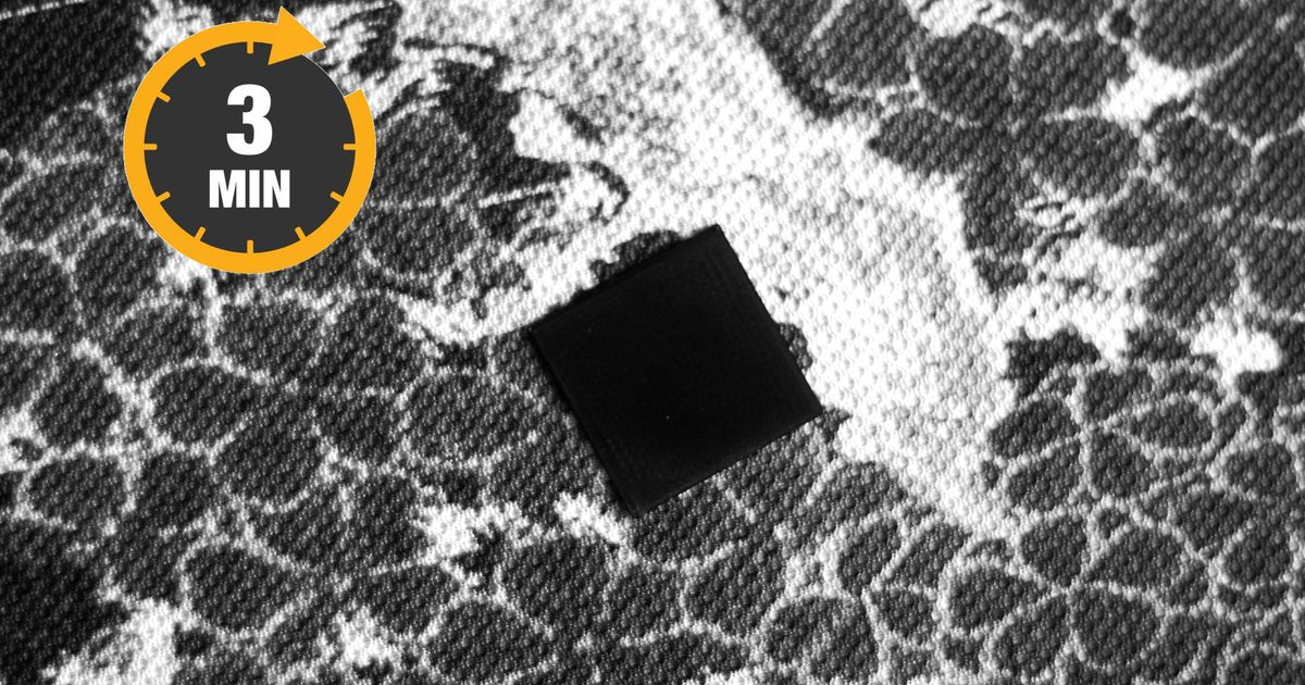 Test Square by Atticus | Download free STL model | Printables.com