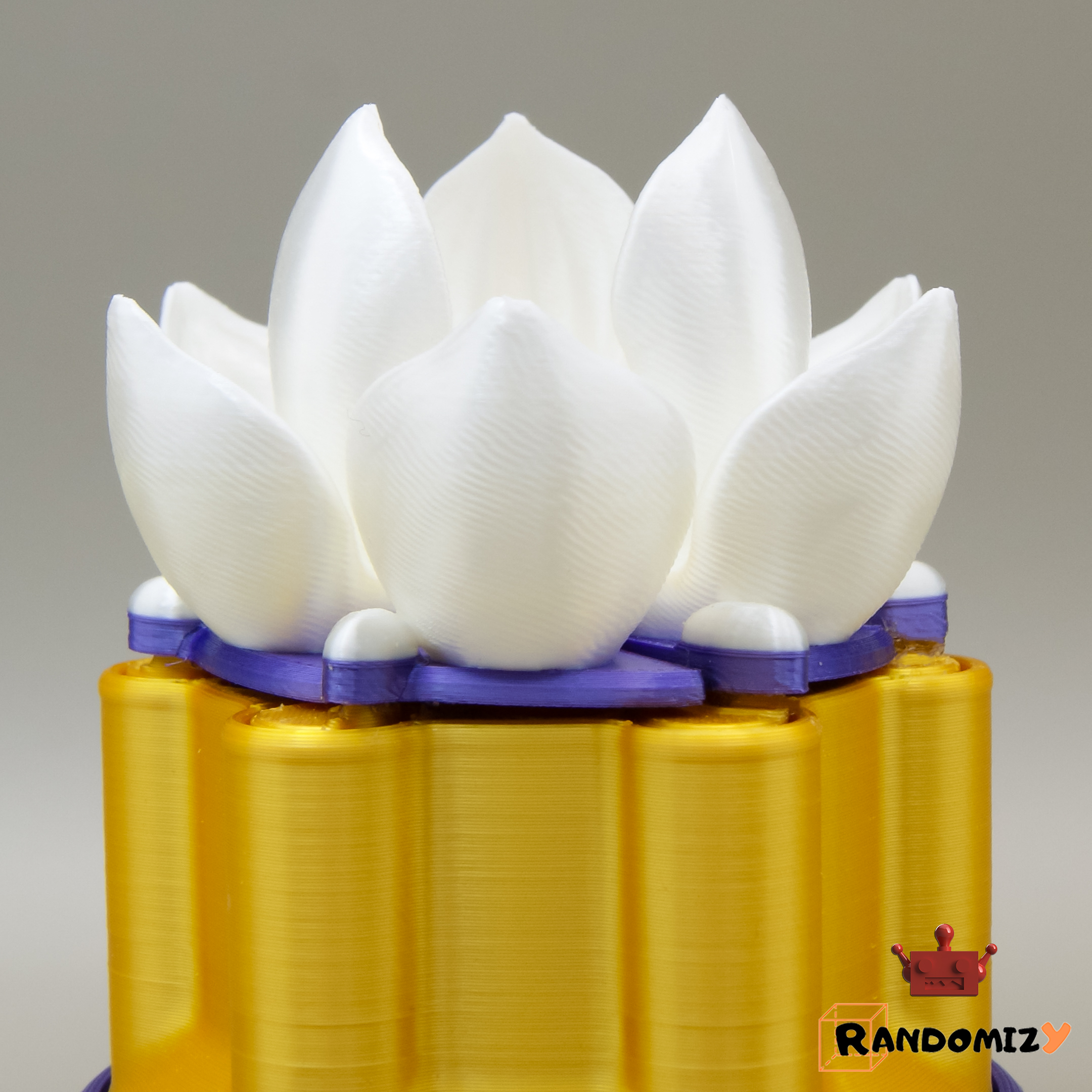 Magnolia Box by Randomizy | Printables Store