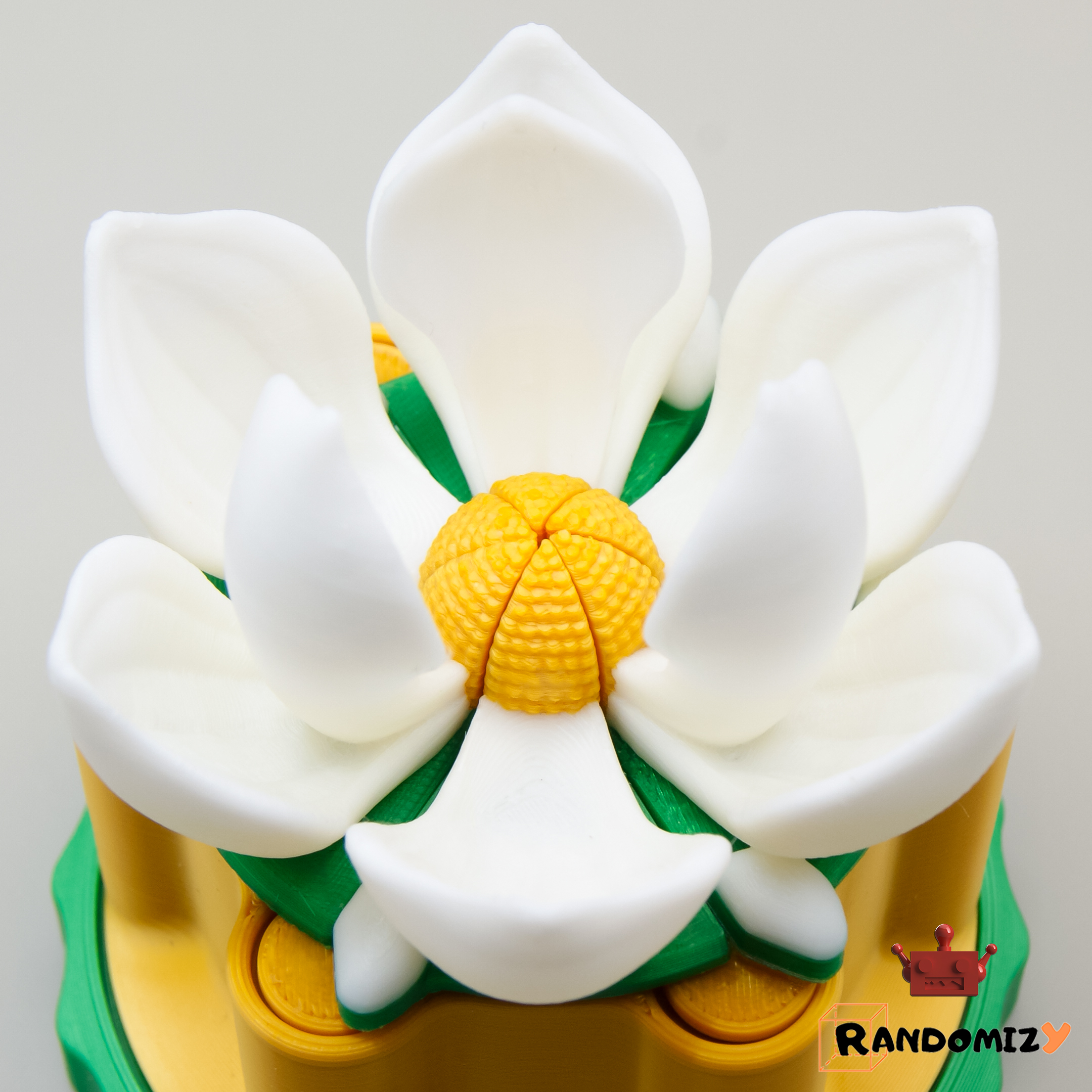 Magnolia Box by Randomizy | Printables Store