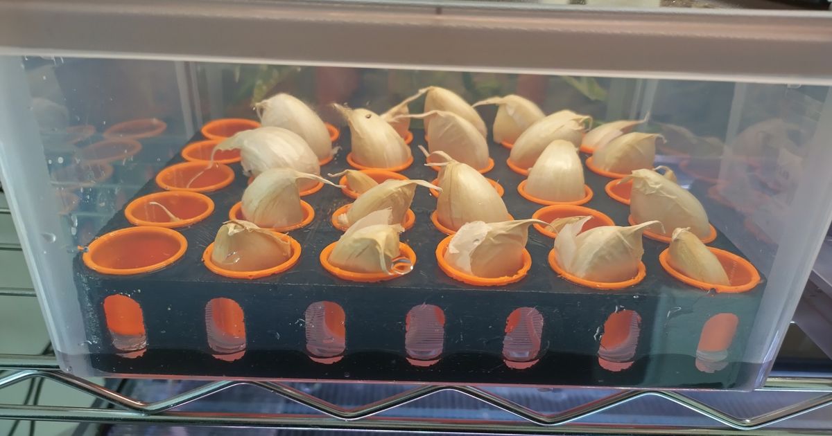 Aquaponic Garlic Starting Tray by Faenum | Download free STL model ...