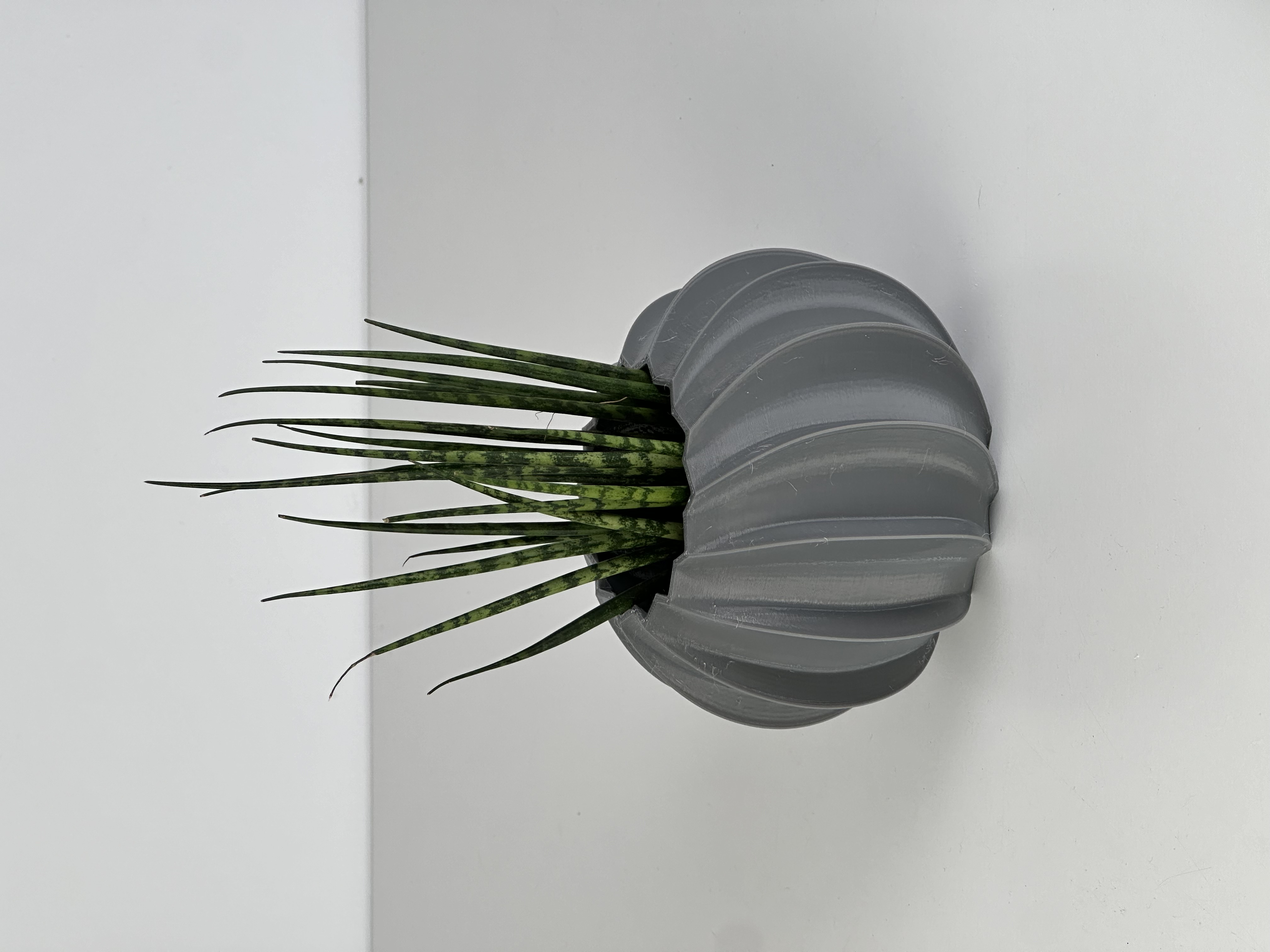 DESIGN FLOWER POT by SrTabulador | Download free STL model | Printables.com