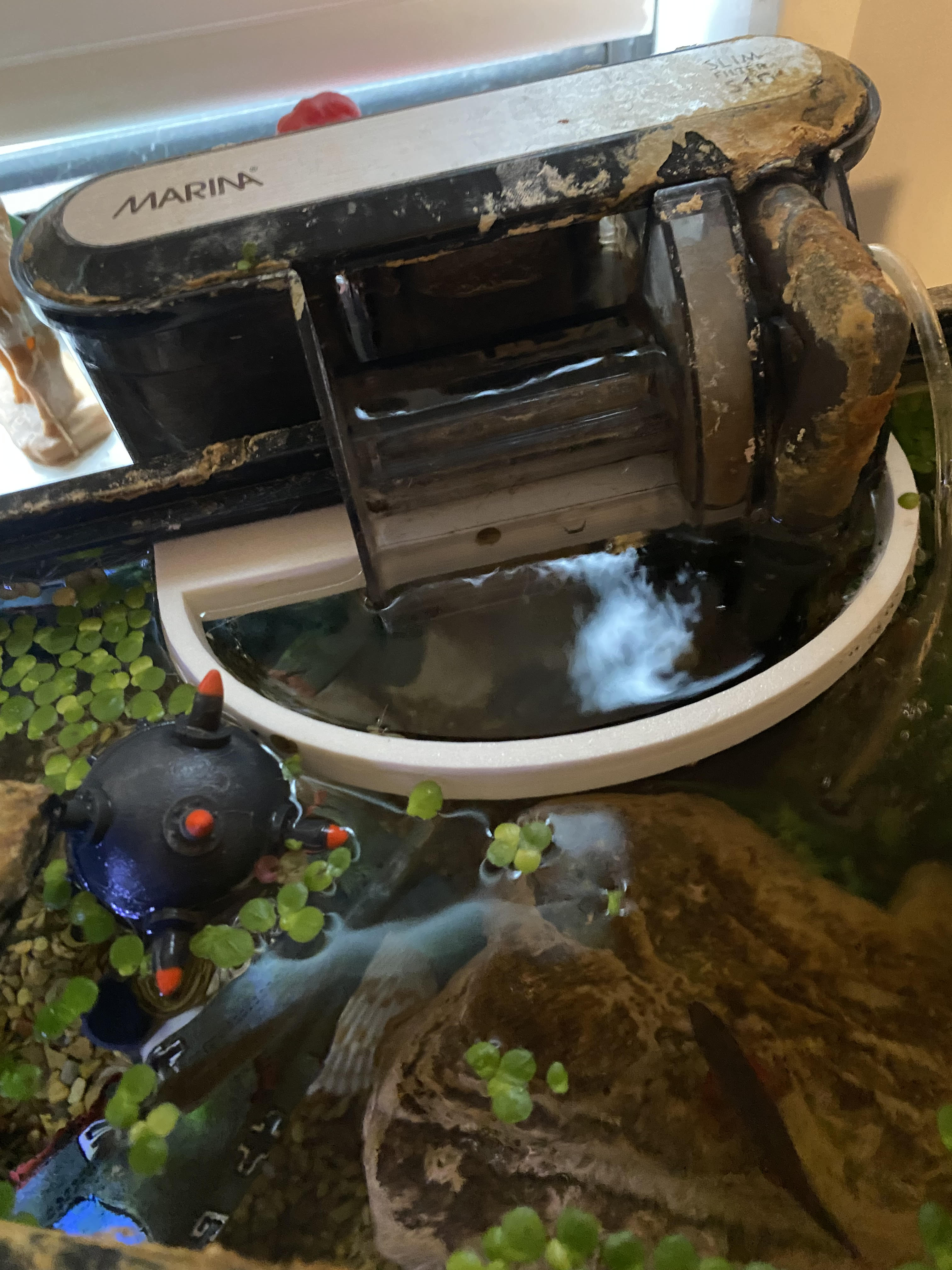 Fish Tank Filter Guard by Falconbob2 | Download free STL model ...