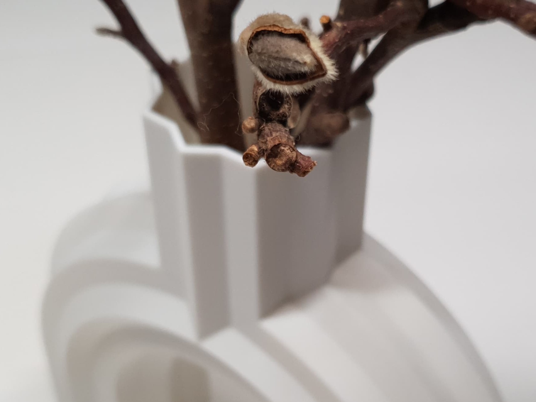 Modern Vase by Sabre Design | Download free STL model | Printables.com