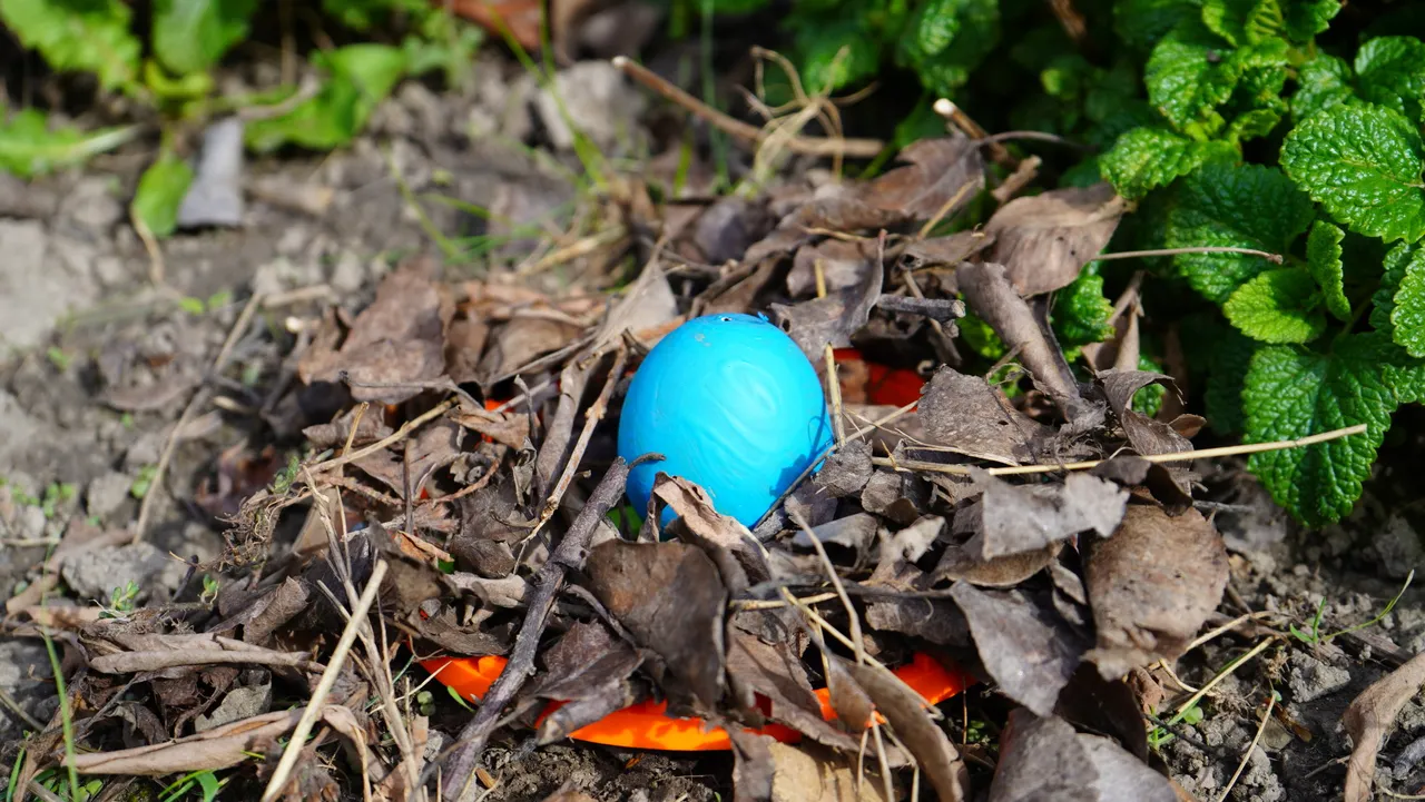The Easter Trap by akimakes | Download free STL model | Printables.com
