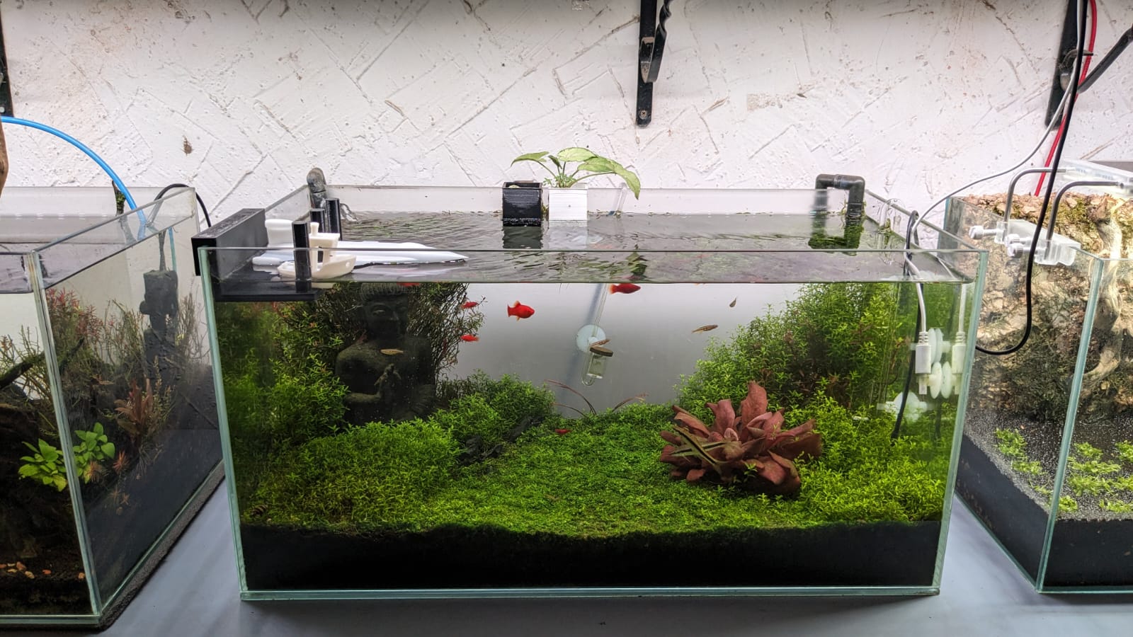 Aquarium Dock for Benchies and Other 3d Prints that Fit :) by Benson ...