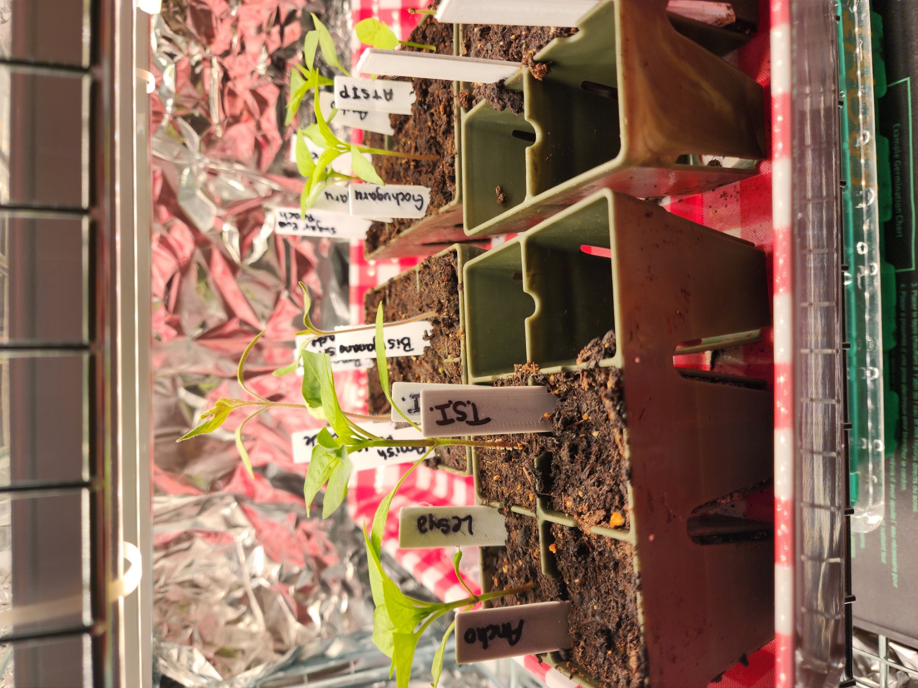 Plant Tags by Perpetual Printer | Download free STL model | Printables.com