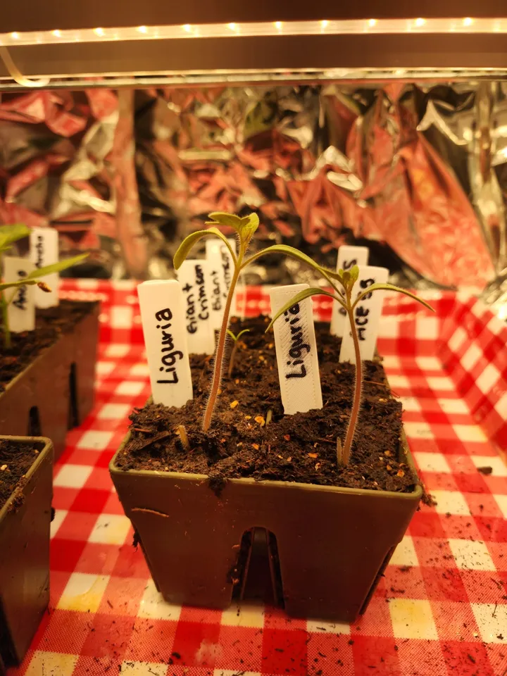 Plant Tags by Perpetual Printer | Download free STL model | Printables.com