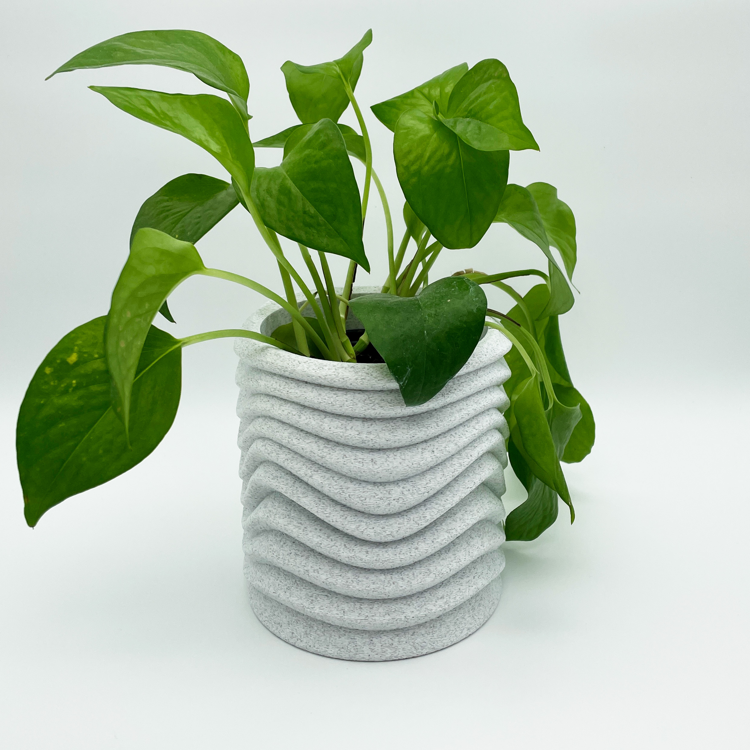 Wavy Plant Pot by 3DPrintPantry | Download free STL model | Printables.com