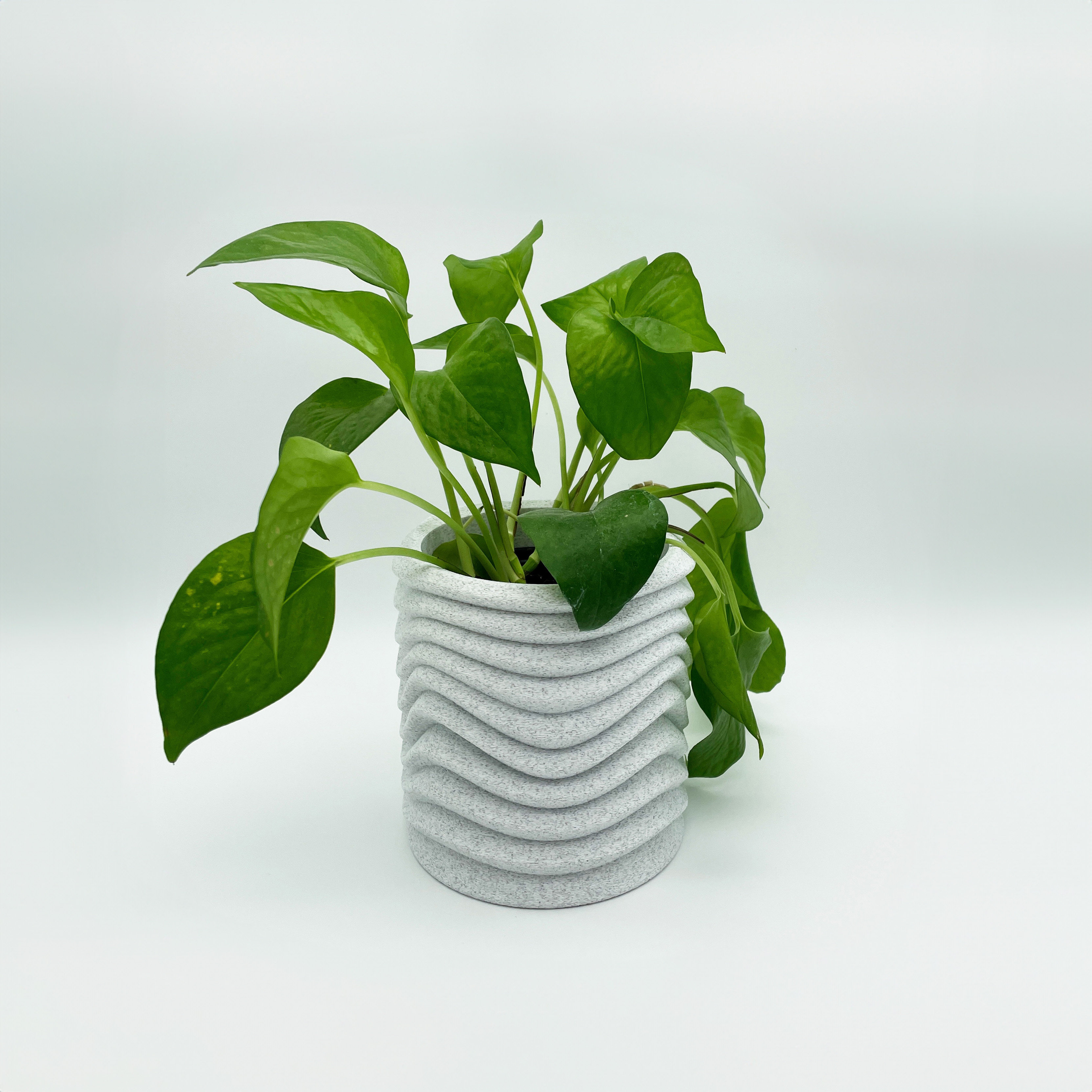 Wavy Plant Pot by 3DPrintPantry | Download free STL model | Printables.com