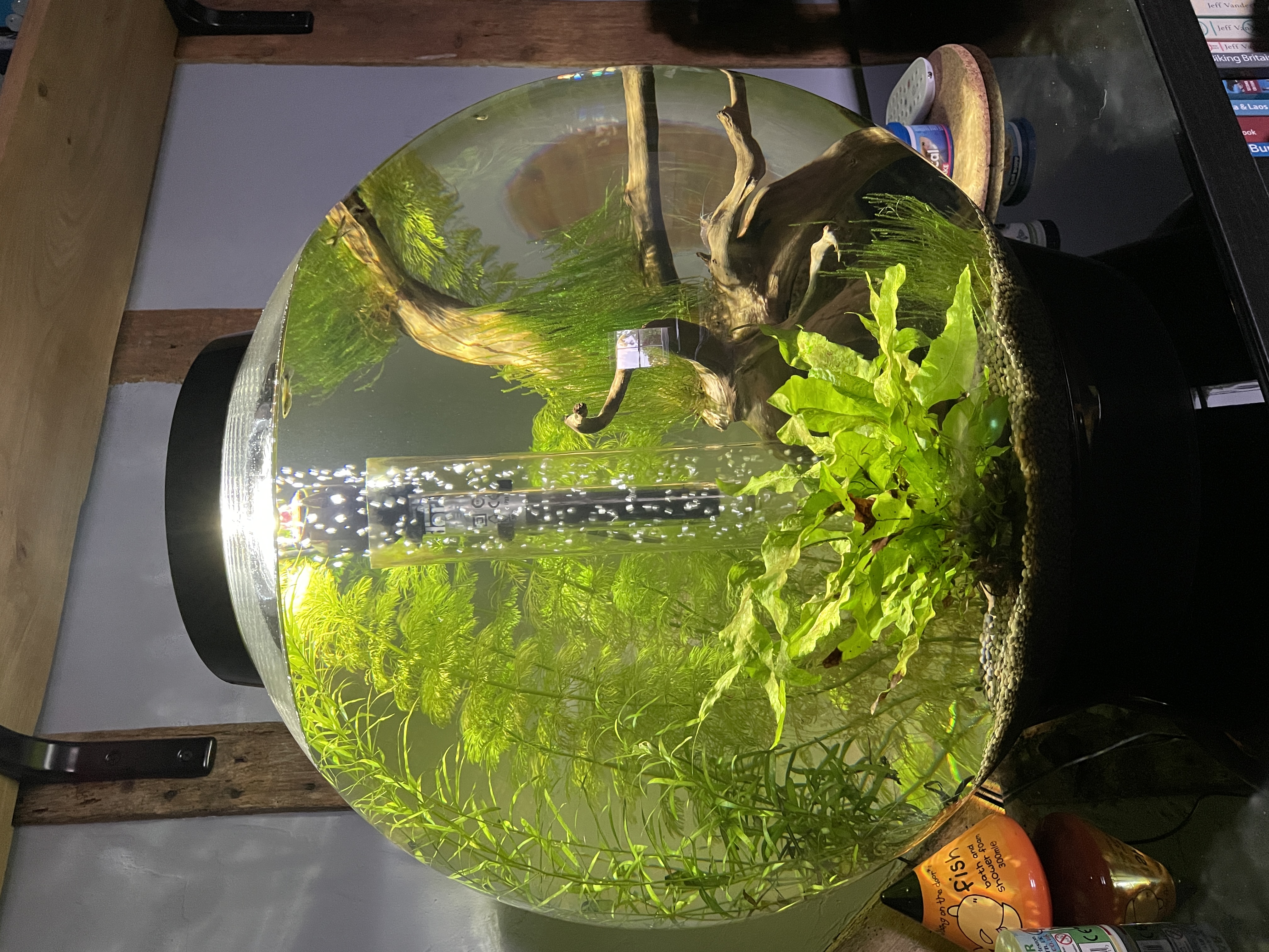 Under Gravel Filter For Biorb 60 litre Classic & Halo Aquariums by ...