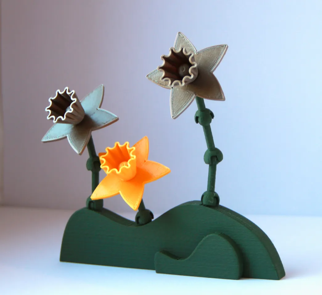 Daffodil by Anna Müller | Download free STL model | Printables.com
