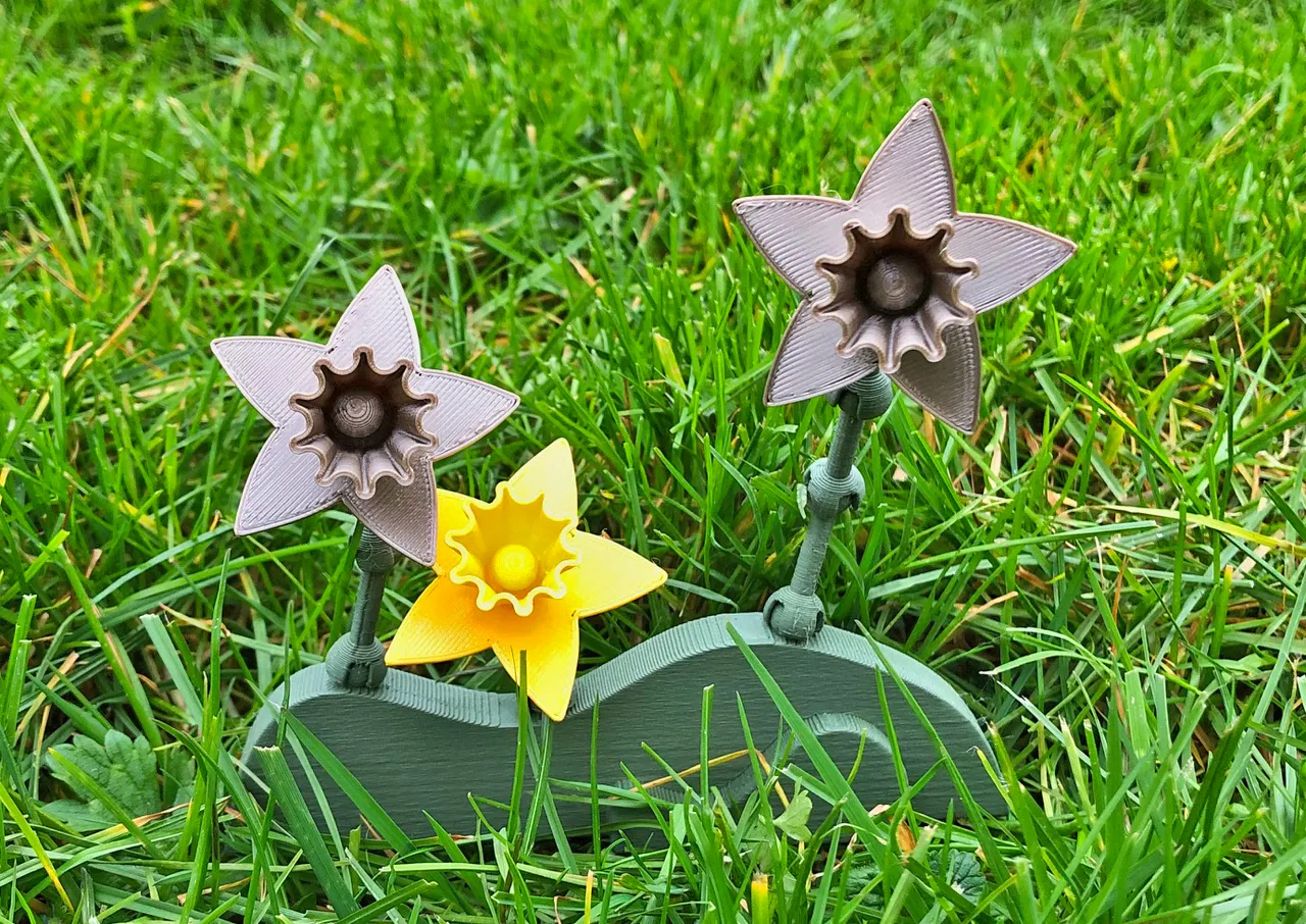 Daffodil by Anna Müller | Download free STL model | Printables.com