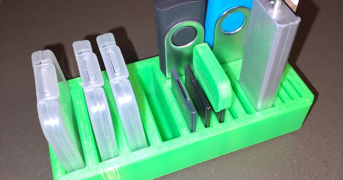 Memory Organizer by ciccio3D | Download free STL model | Printables.com