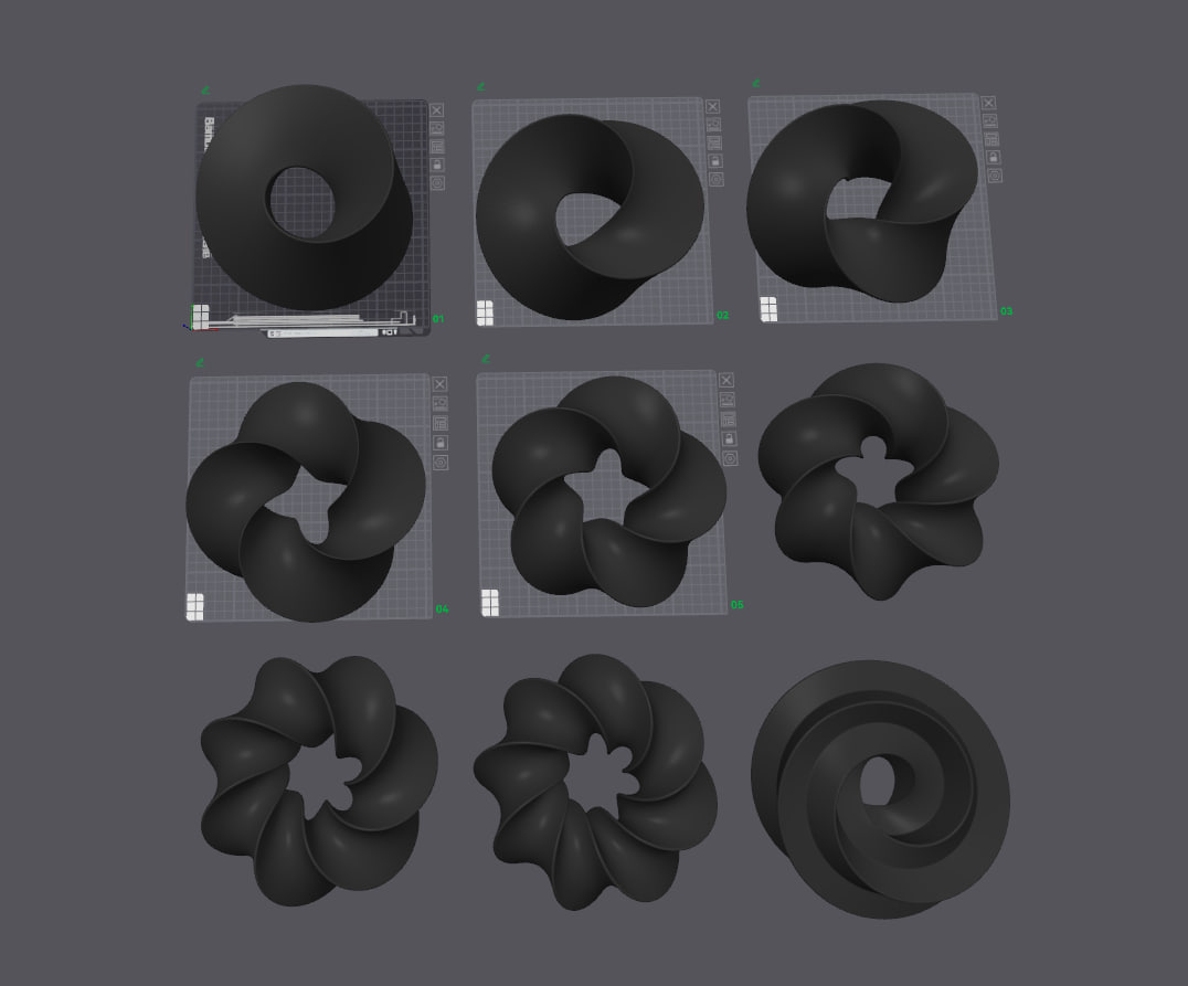 Twisted Toroidal Arrays by stercus | Download free STL model | Printables.com