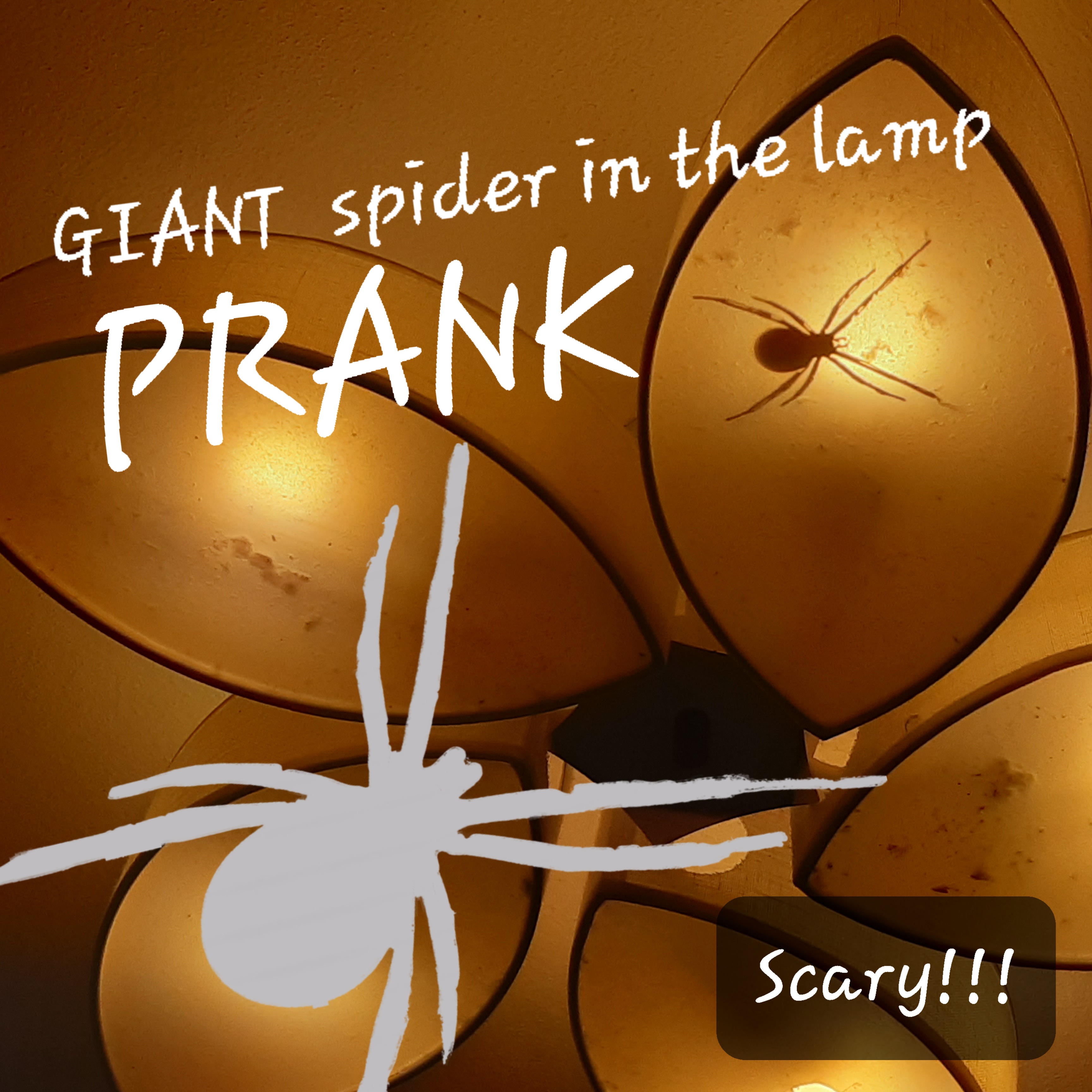 SCARY spider in the lamp PRANK by jakub | Download free STL model ...
