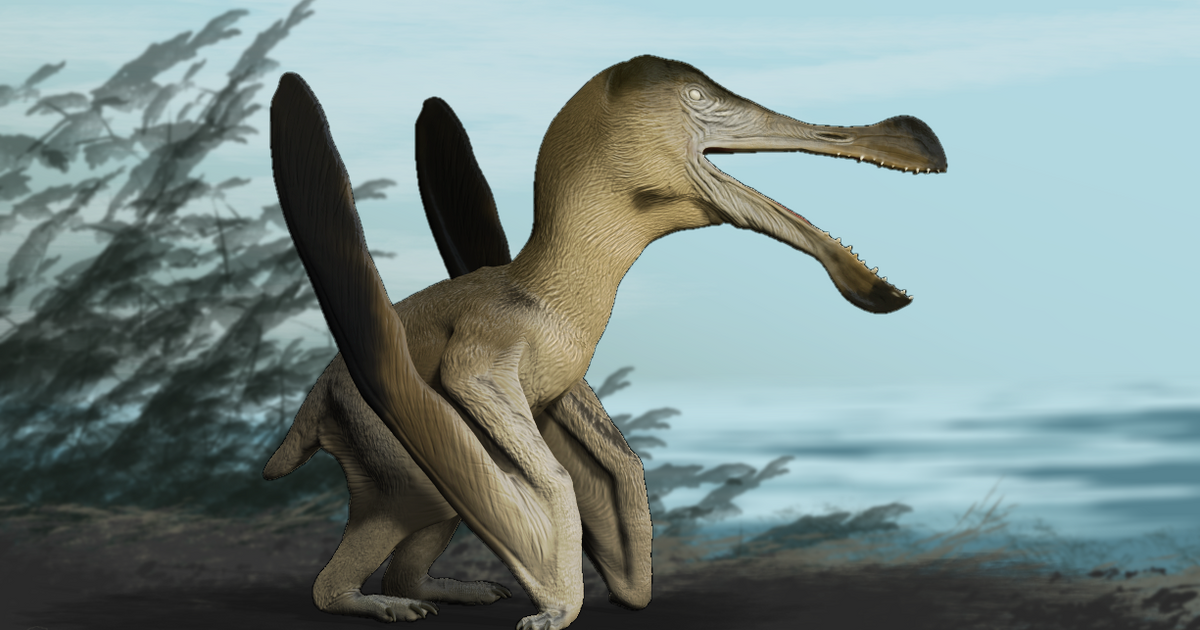 Ornithocheirus figurine by DragonArtist15 | Download free STL model ...