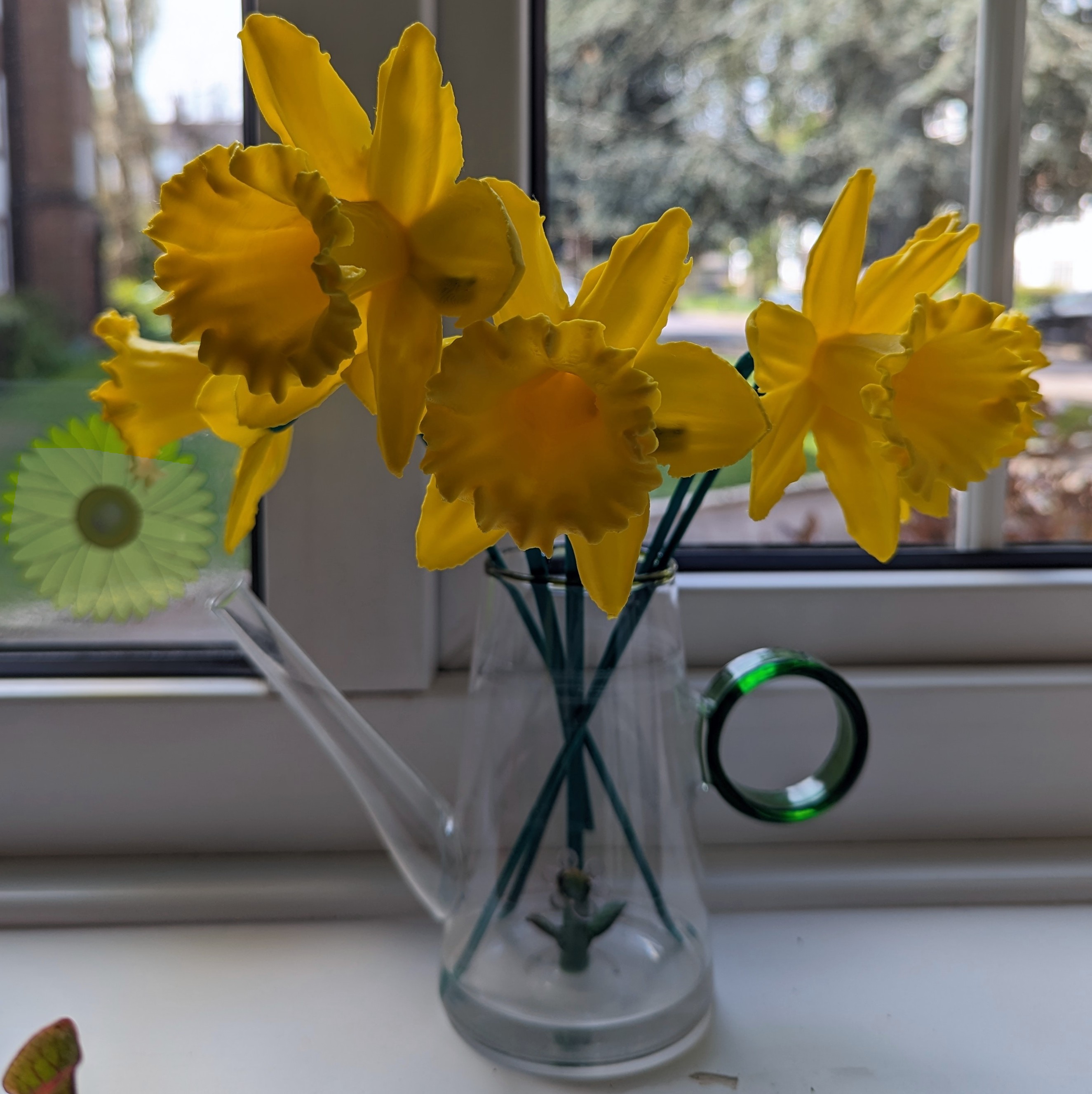 UPDATED: Daffodil Flower & Stem (3d scanned real flower) by James Brown ...