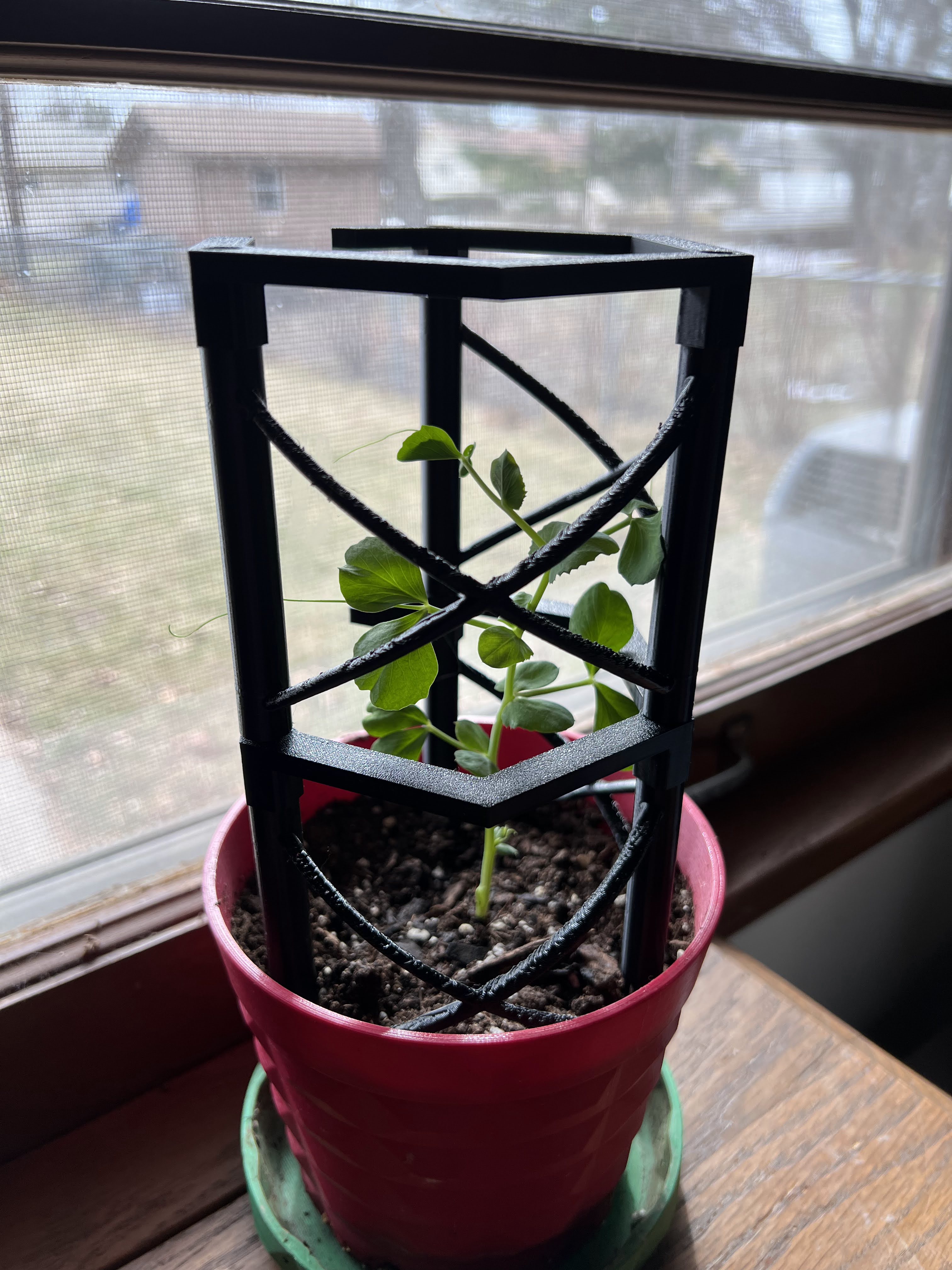 Open Cage Stackable Plant Support Stakes - With Added Climbing Supports by batman | Download ...