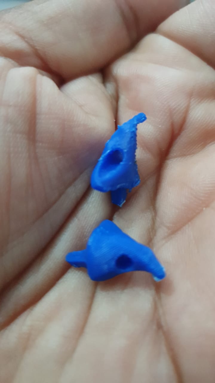 Larynx Model for studies: Speech Therapy and oncology Head and Neck by ...